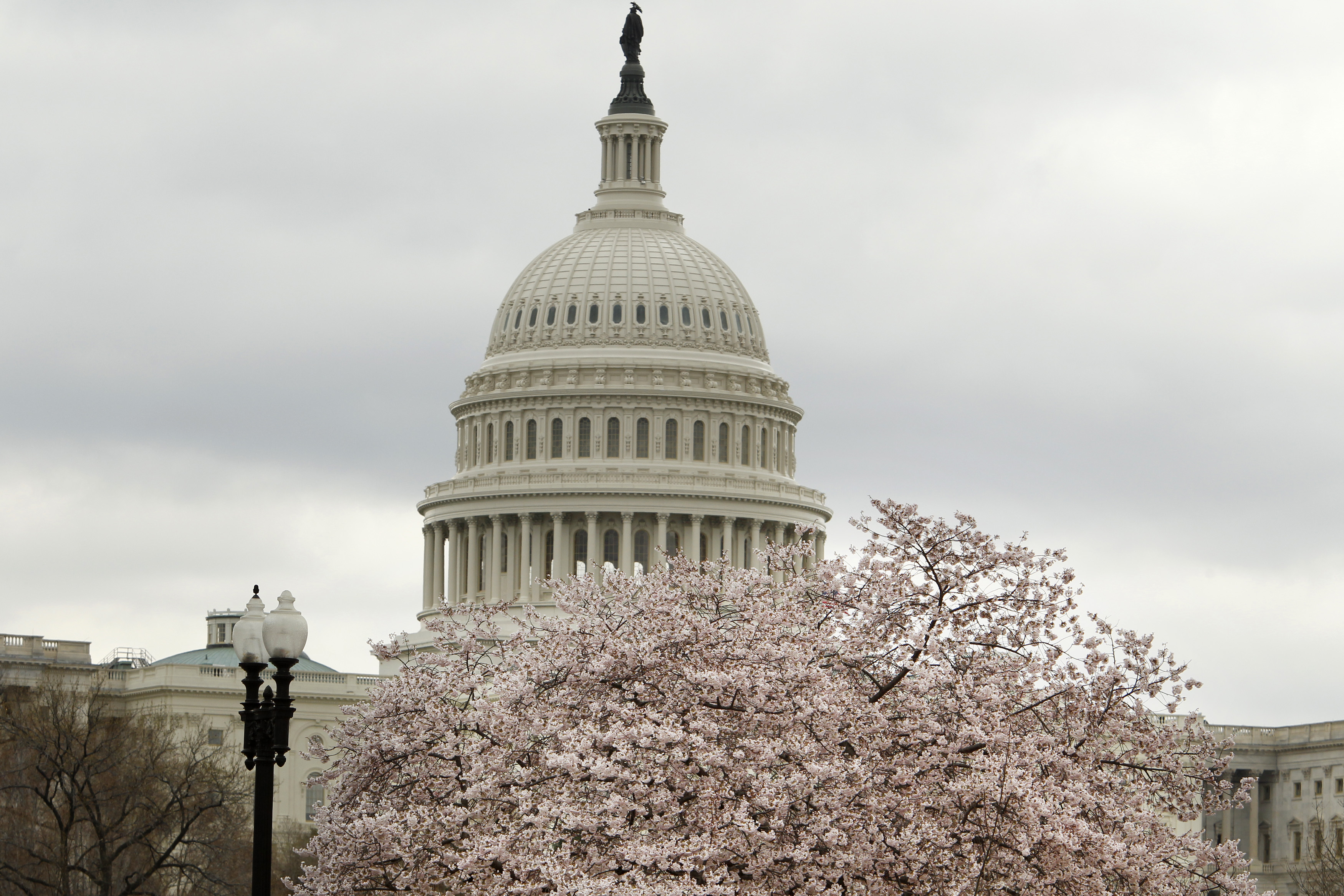 EVENT: Reformicons and a Discussion of the Reform Conservative Movement ...