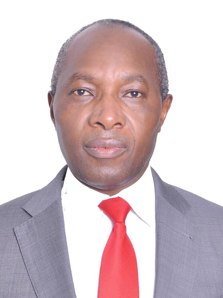 Re-globalization and Africa’s integral role in a sustainable future