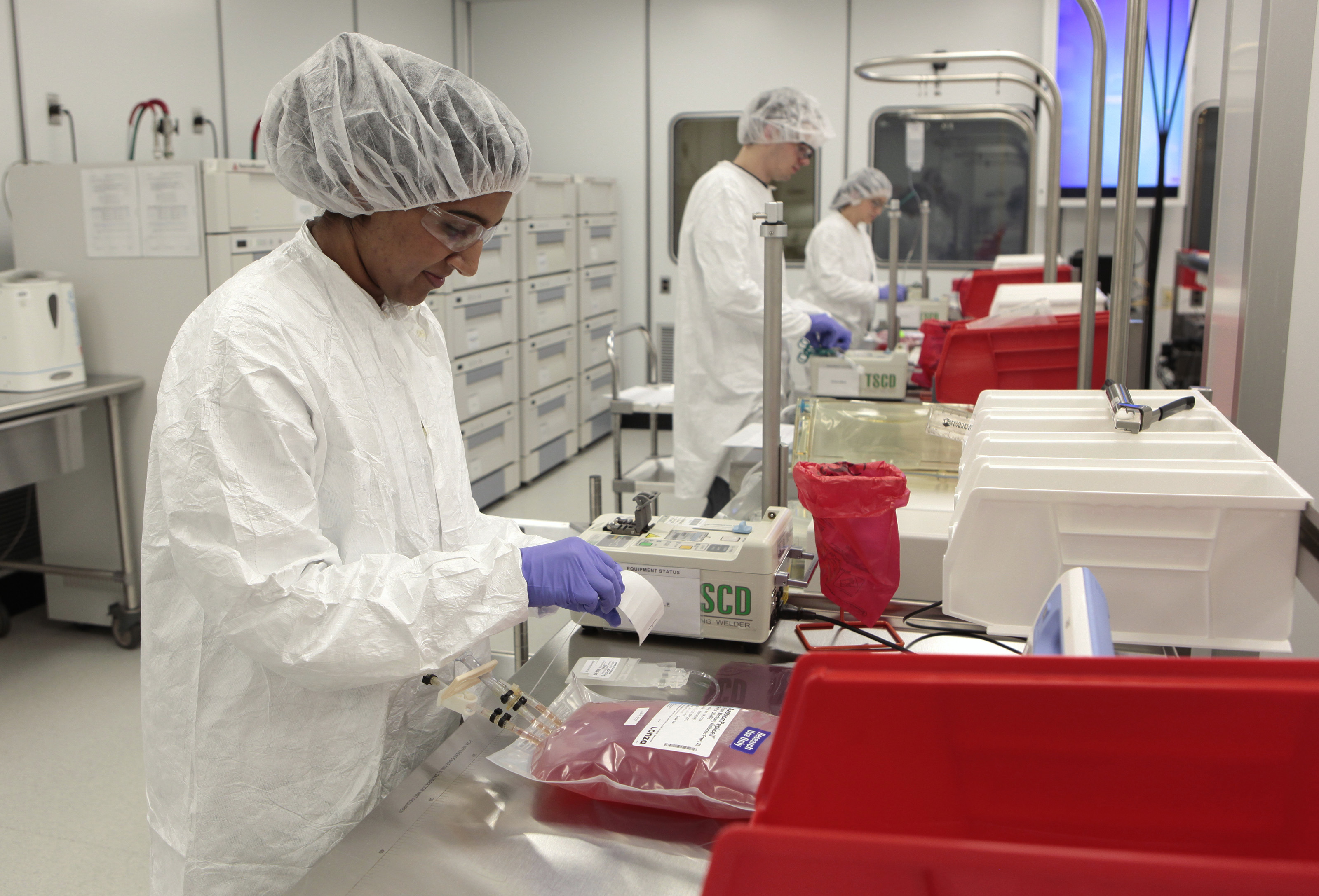 Do-it-yourself biology shows safety risks of an open innovation movement