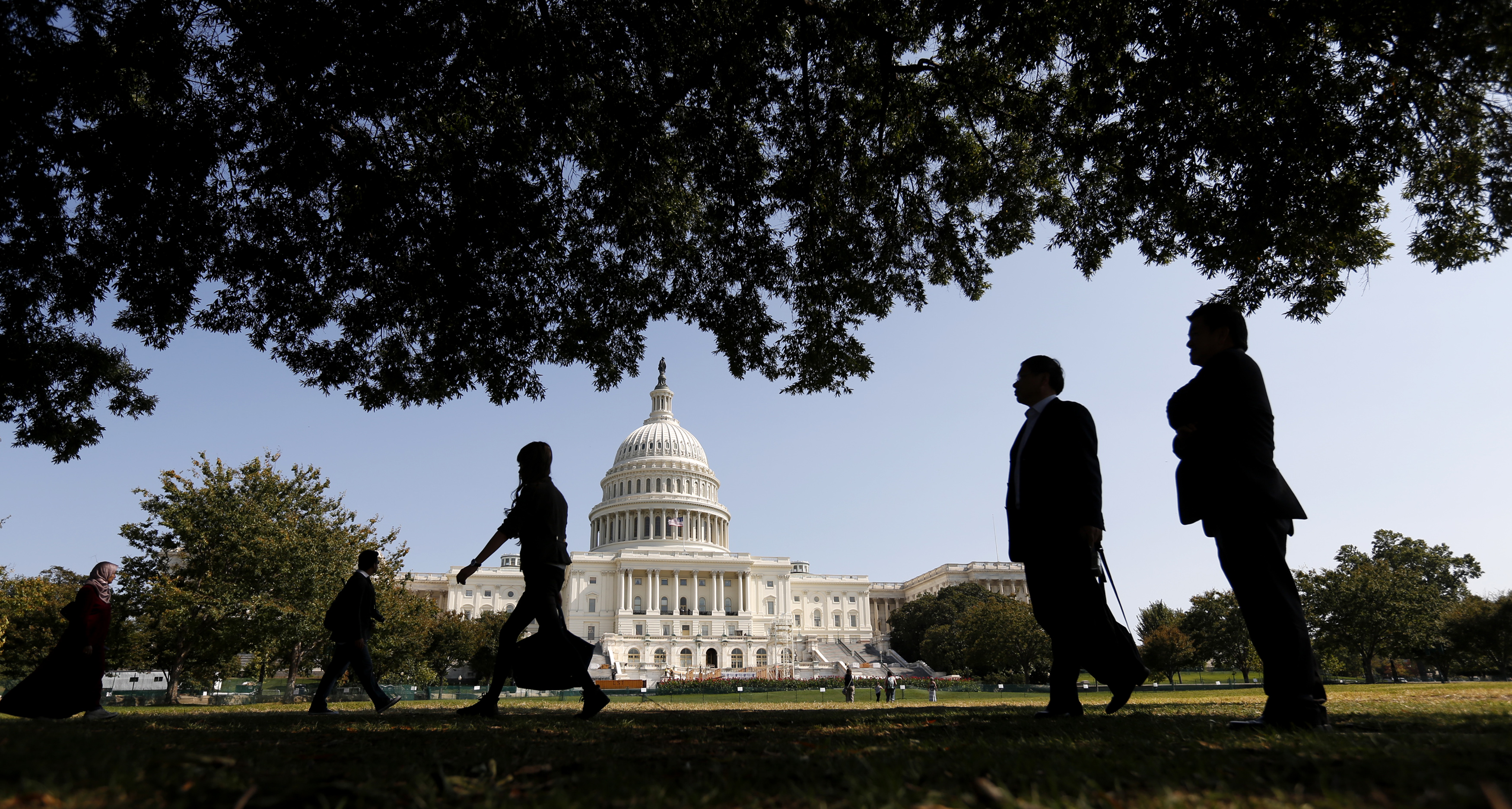 Behavioral public choice: The behavioral paradox of government policy ...