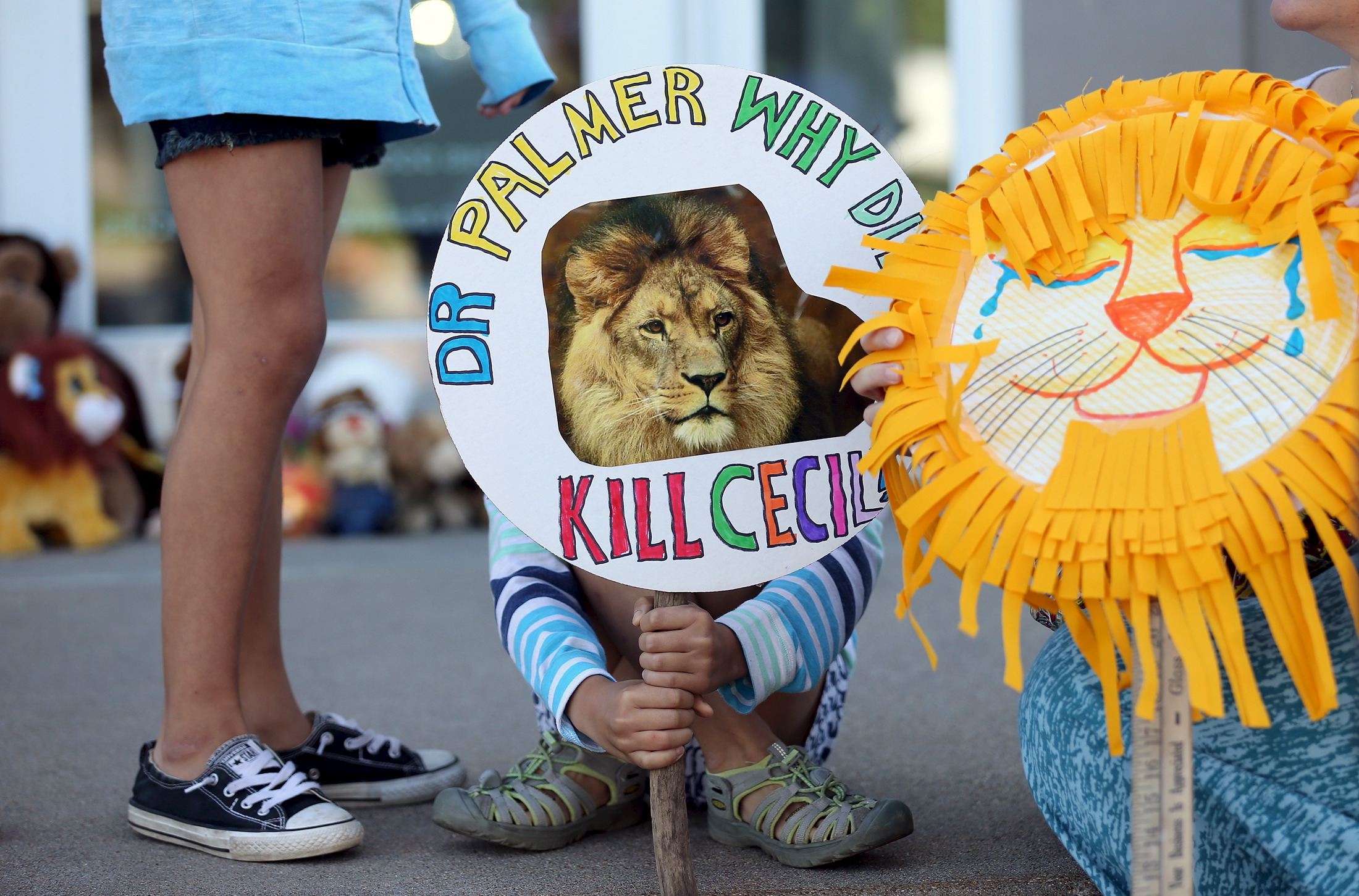 Getting past the emotions around Cecil the Lion: Hard truths about ...