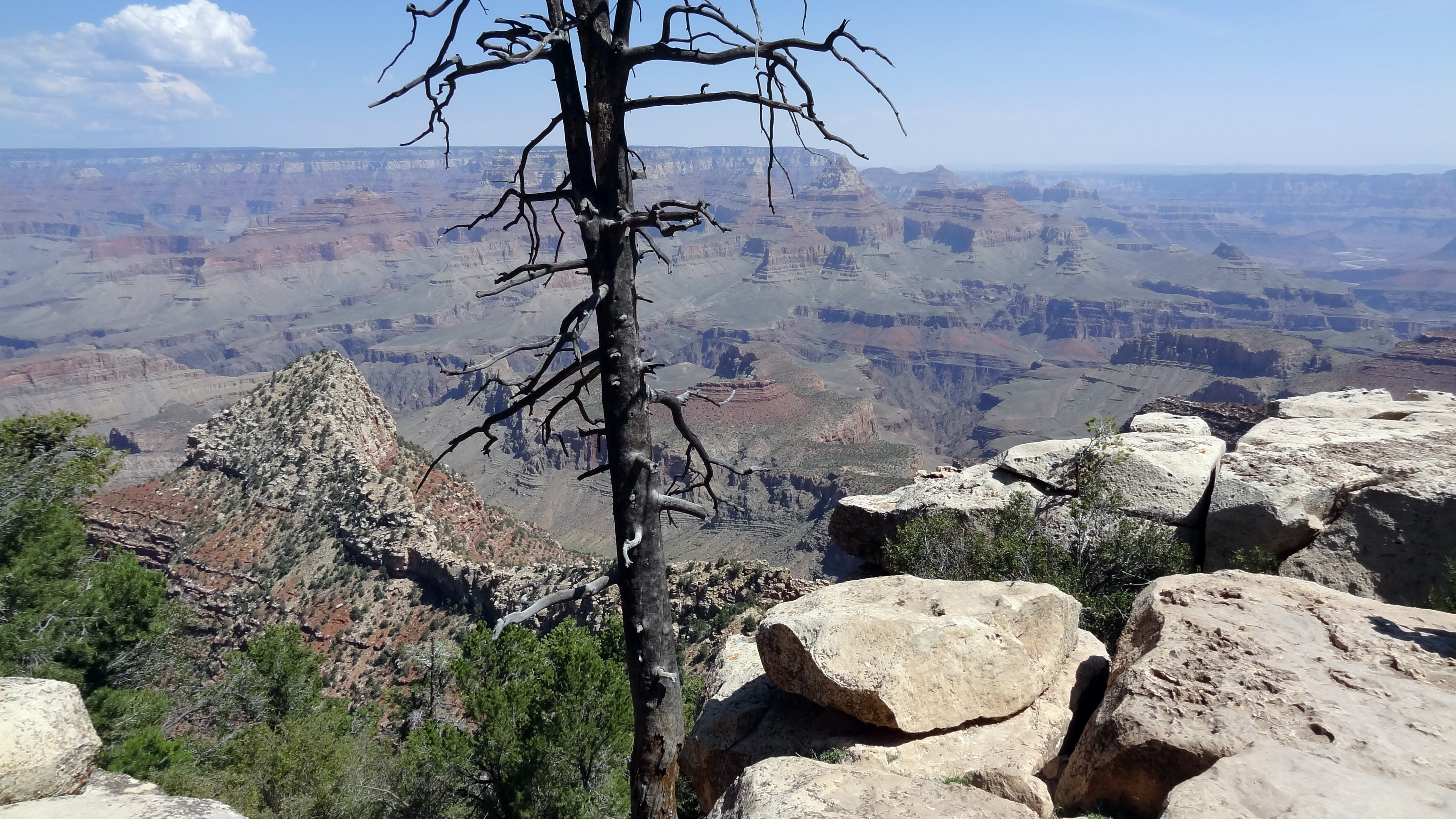 Let’s All Jump Off the Cliff | Brookings