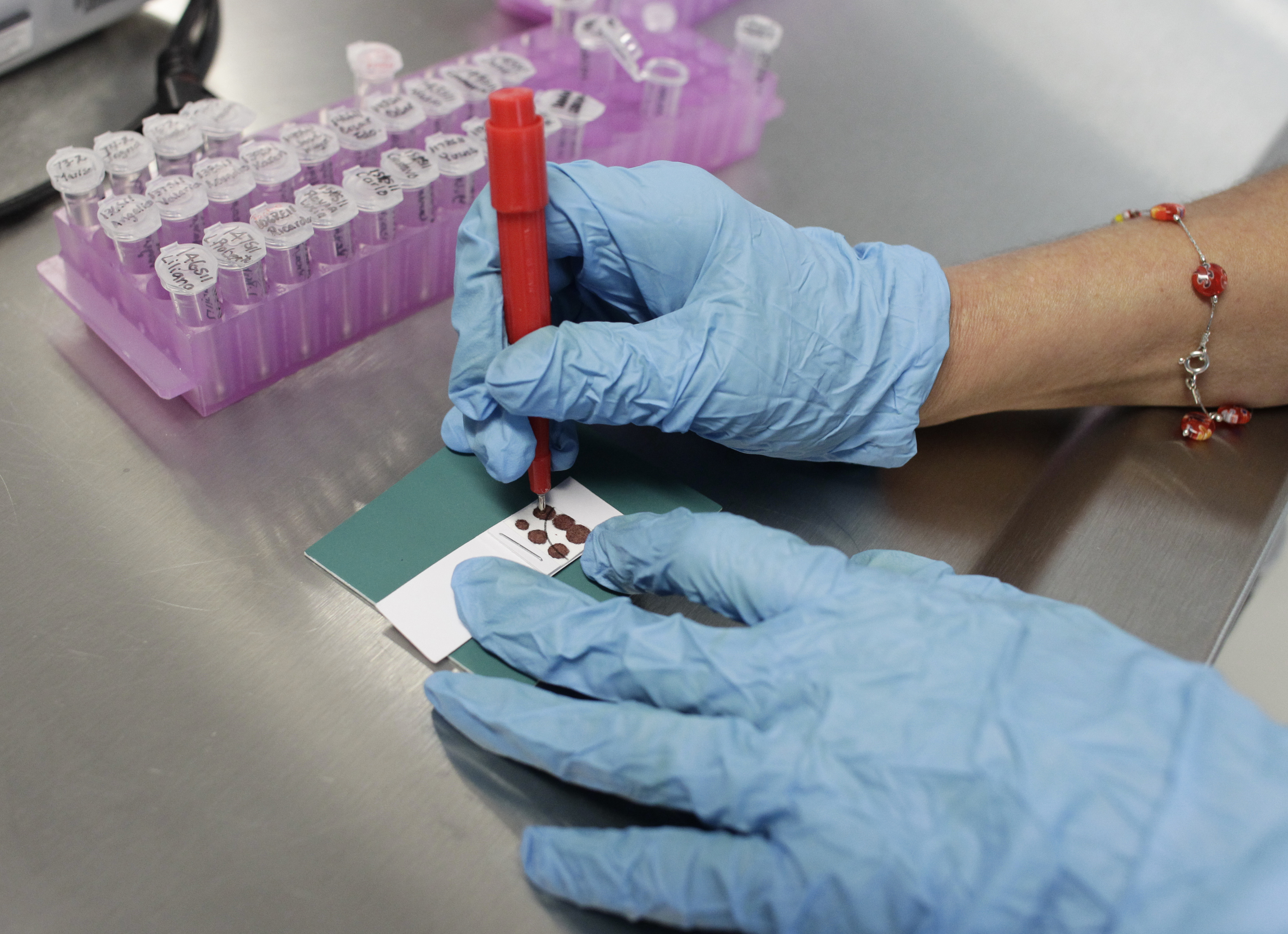 Wanted: A Noah's Ark for Species' DNA | Brookings