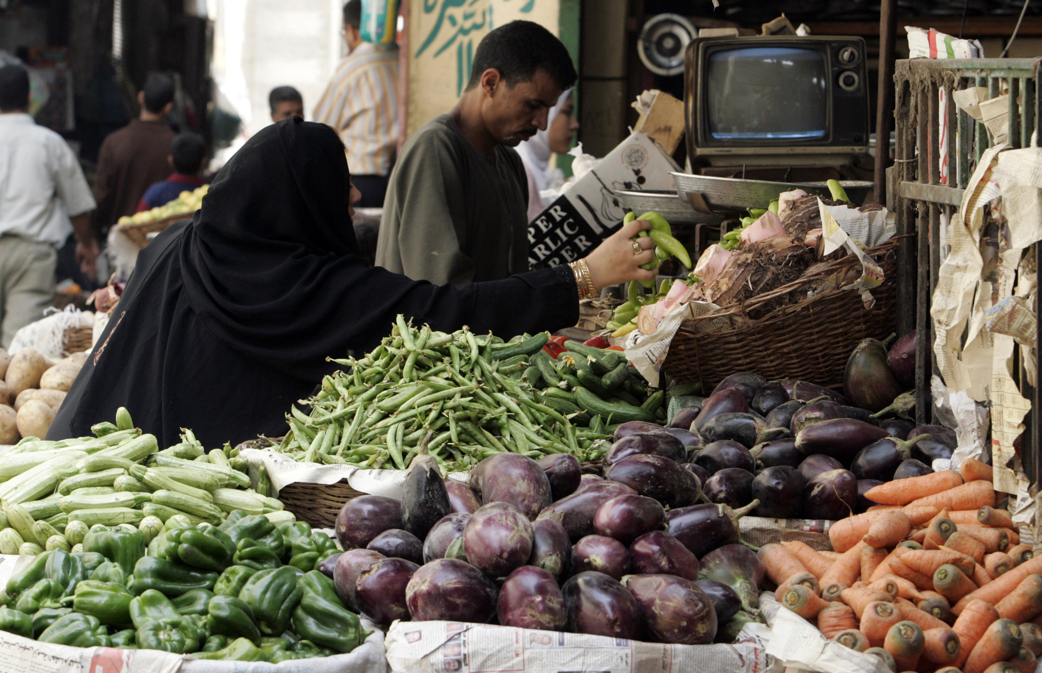 Regulatory Reforms Necessary for an Inclusive Growth Model in Egypt ...