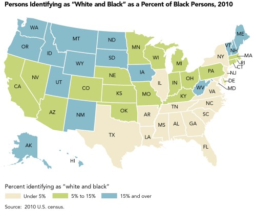 Black-white mixed race identity rises in the South | Brookings