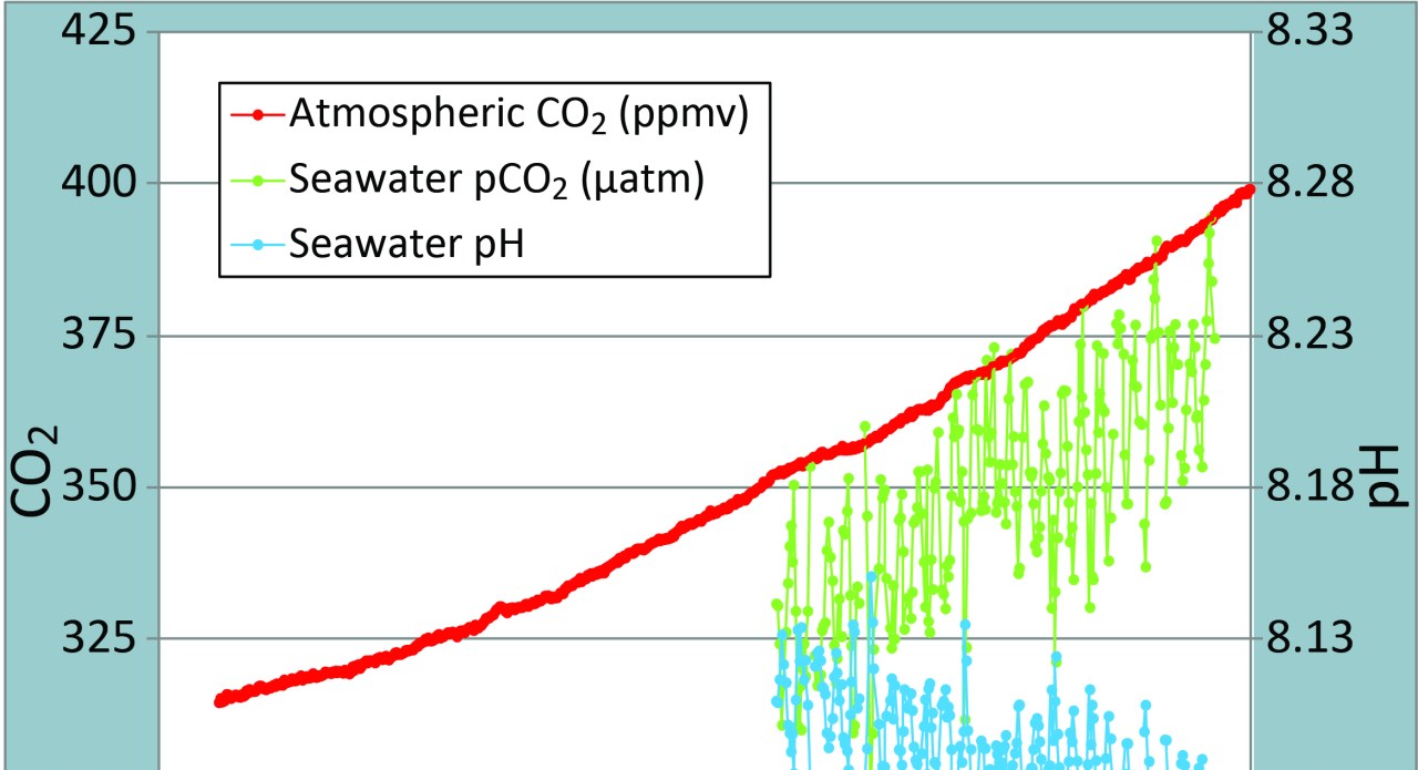 On World Oceans Day, a reminder that climate change action must ...