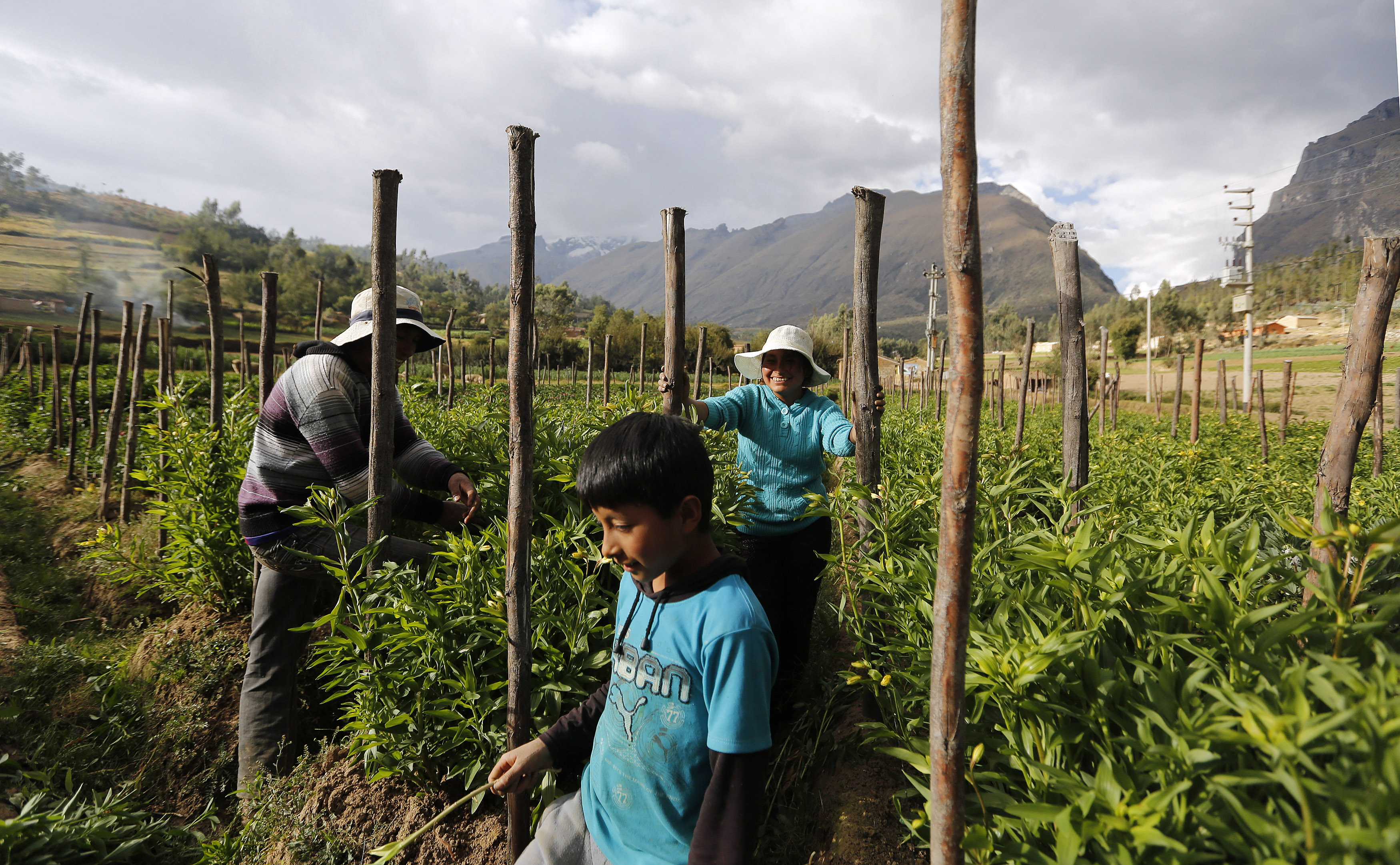 Latin America: An Indispensable Region in the Fight Against Climate ...