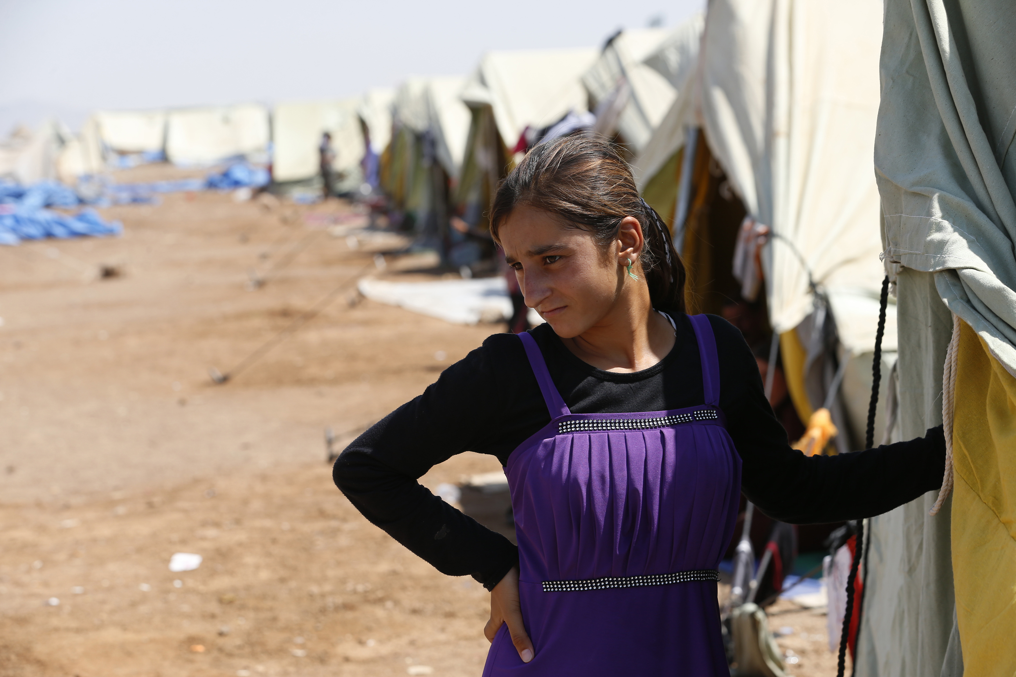 Mapping the Response to Internal Displacement: The Evolution of ...