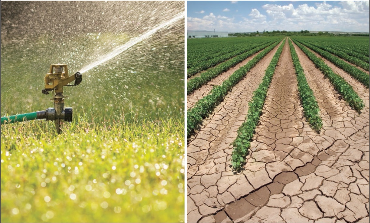 Economic Effects Of Drought