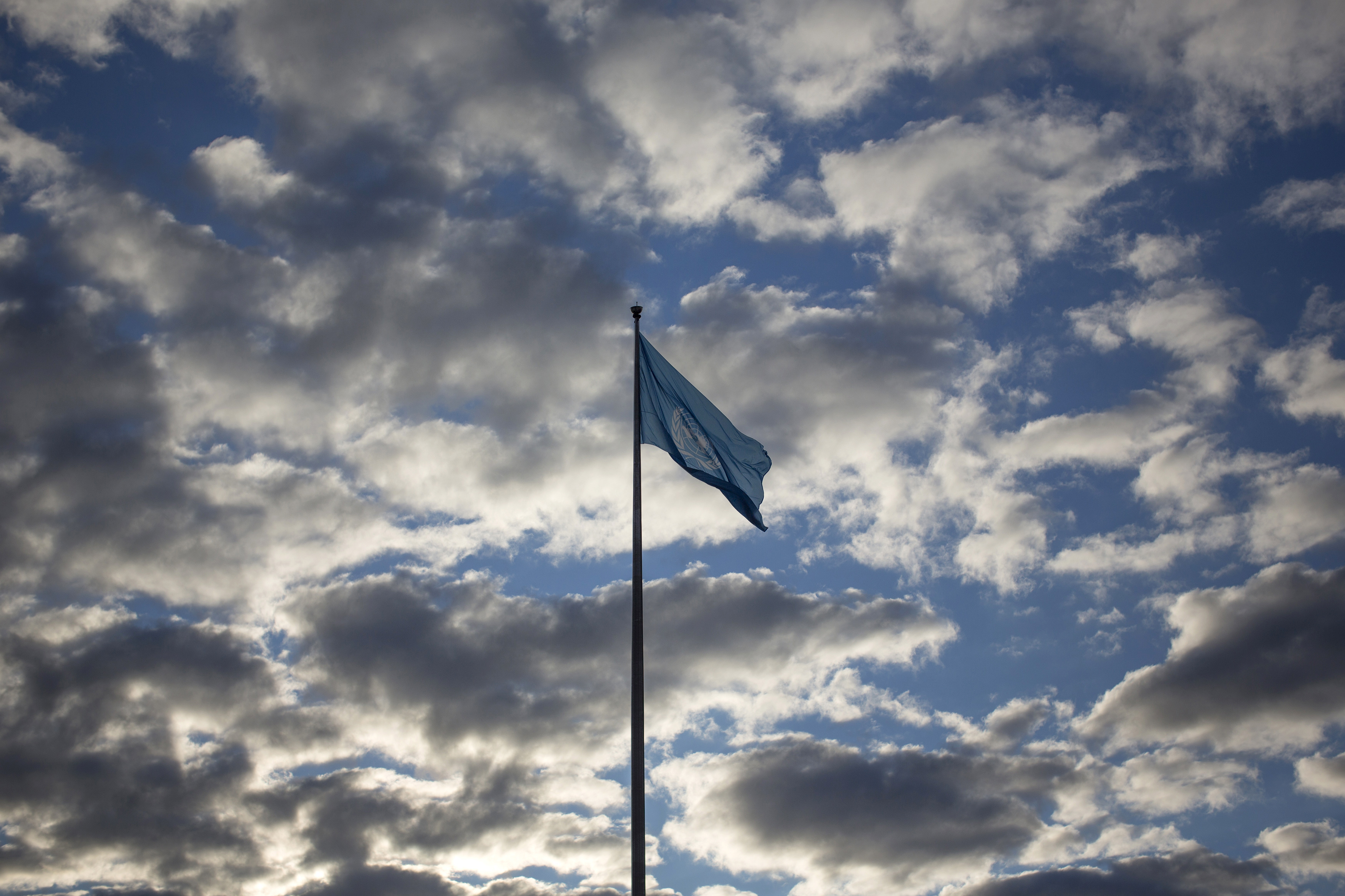 The Future of the United Nations Special Procedures | Brookings