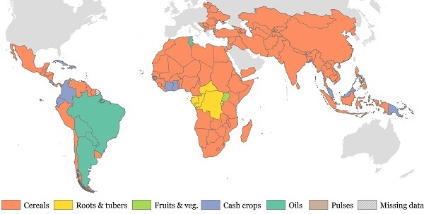 Where does the world’s food grow? | Brookings