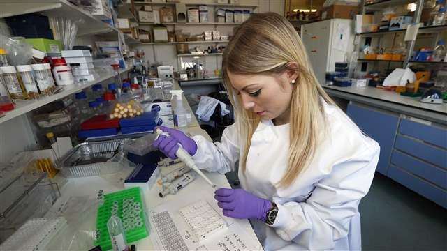 Precision treatment and precision prevention: Integrating "below and ...