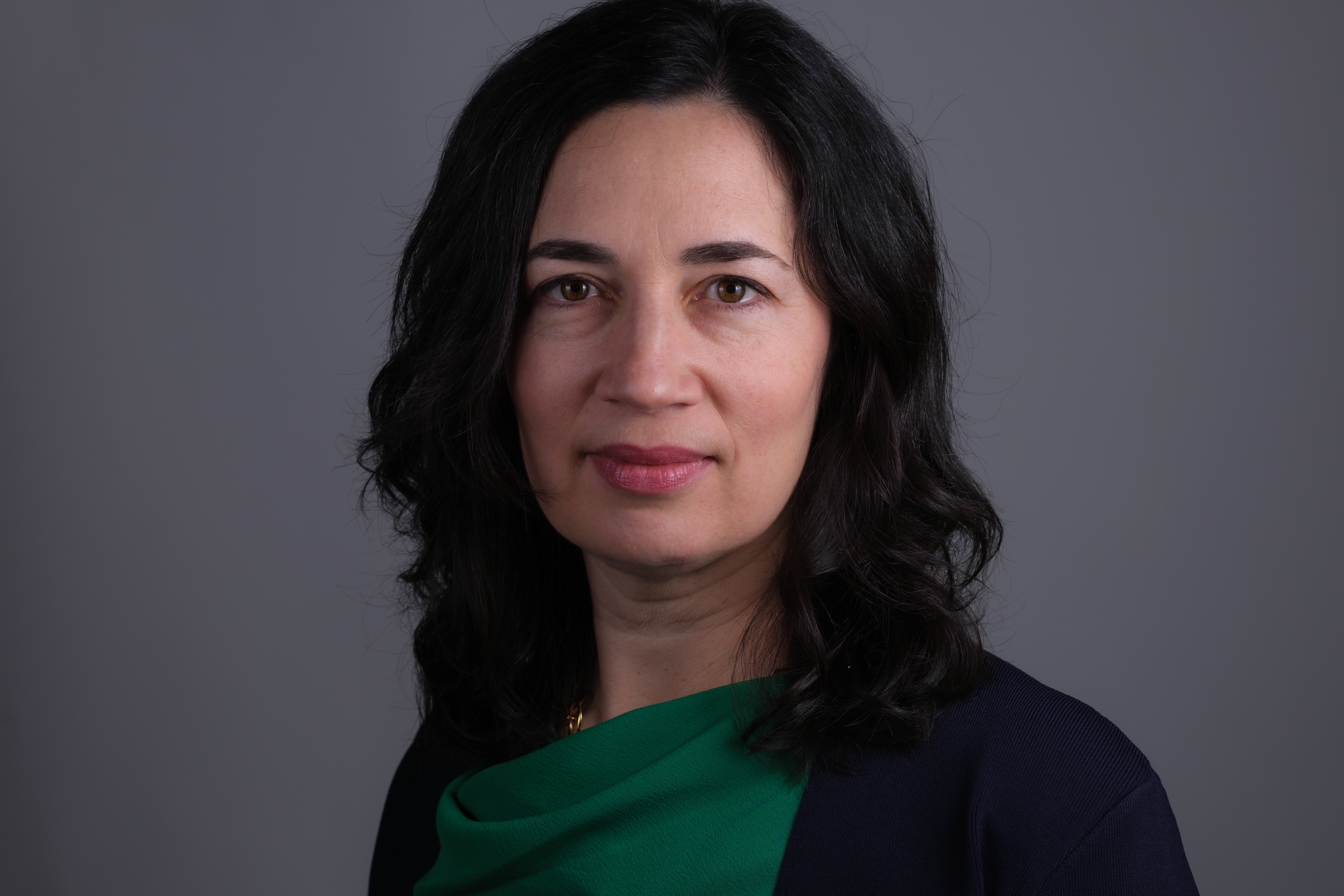 Race, poverty, and interpreting overrepresentation in special education ...