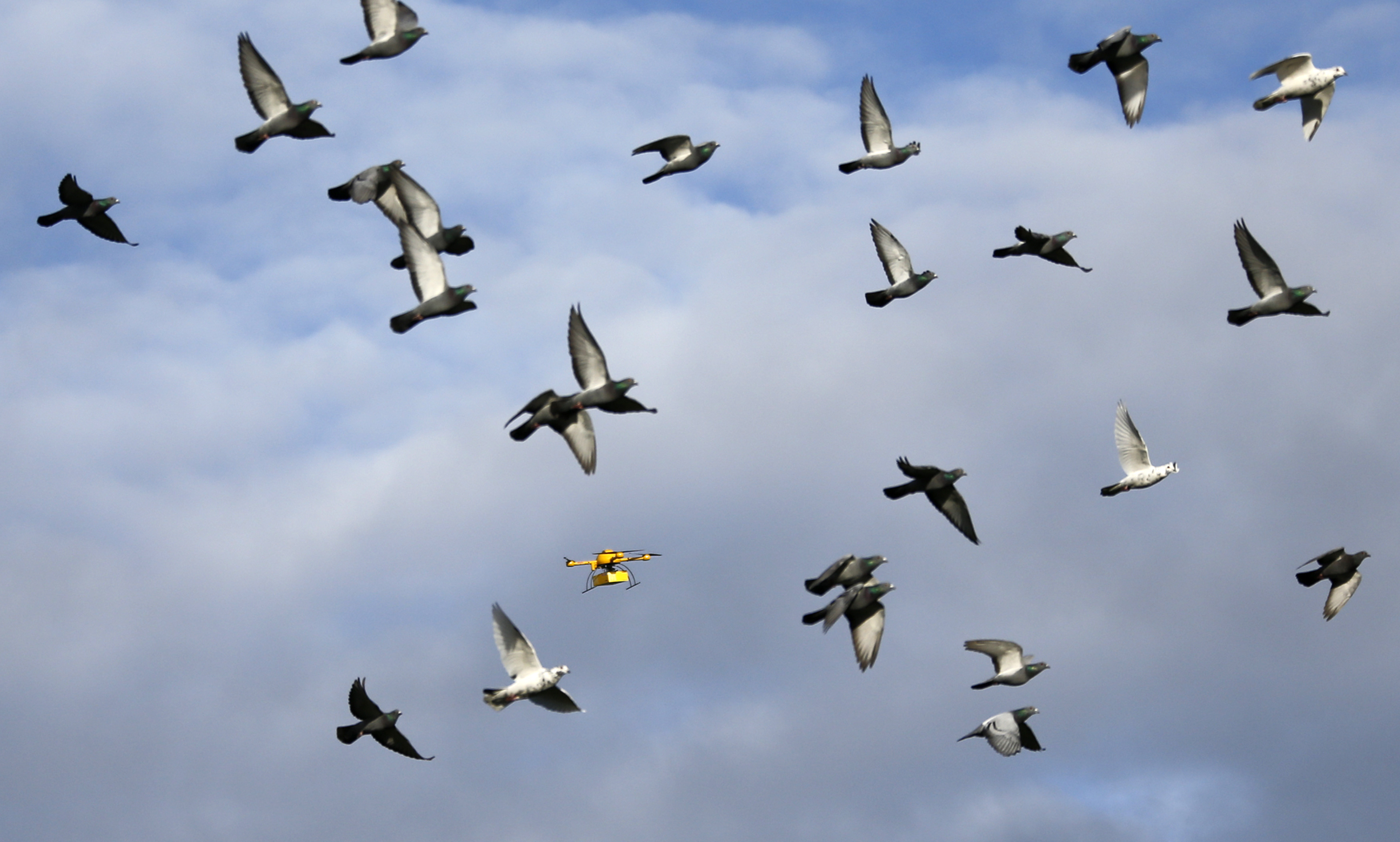 Drones and aerial surveillance: Considerations for legislatures | Brookings