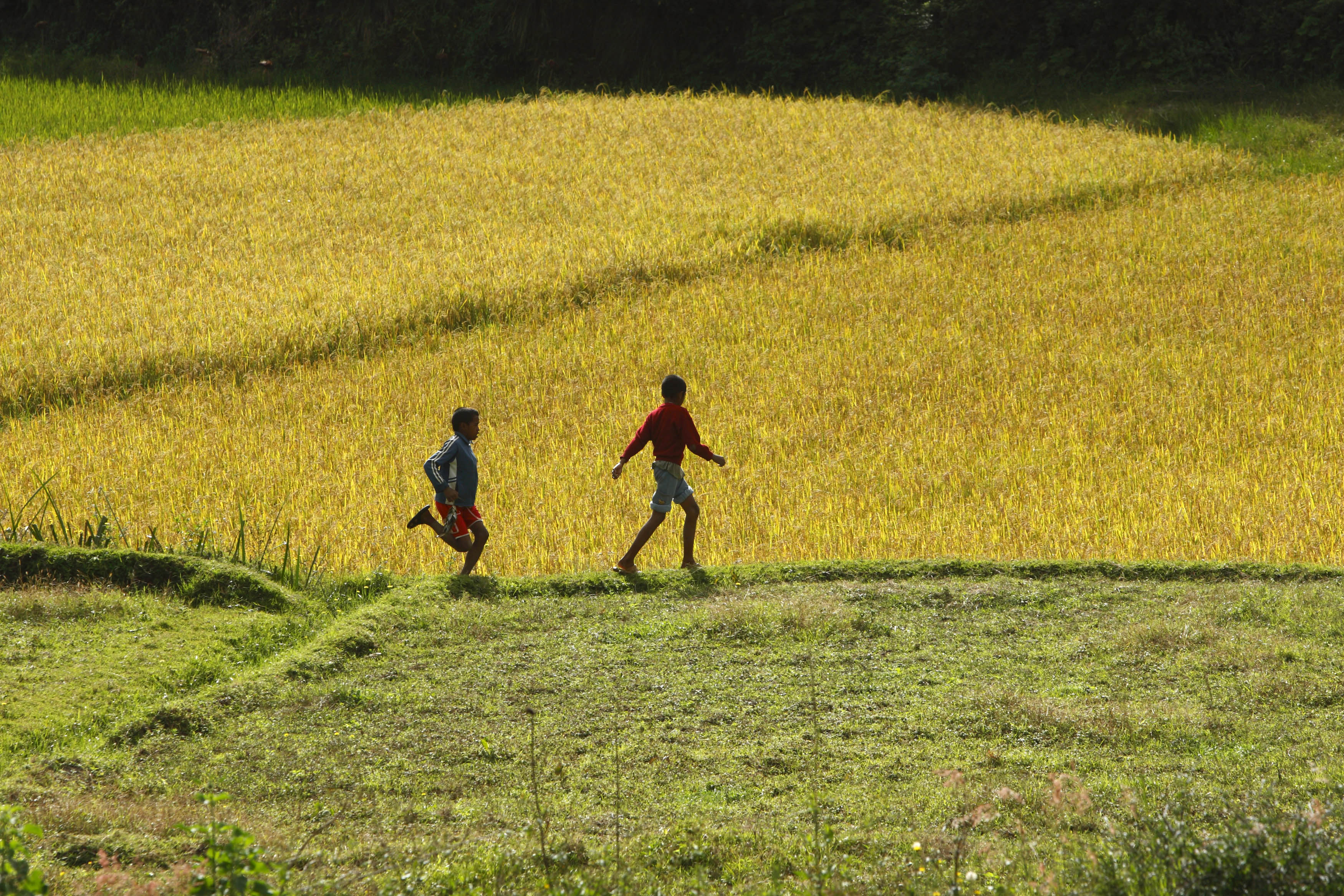 Figures of the week: Ending rural hunger in Africa | Brookings