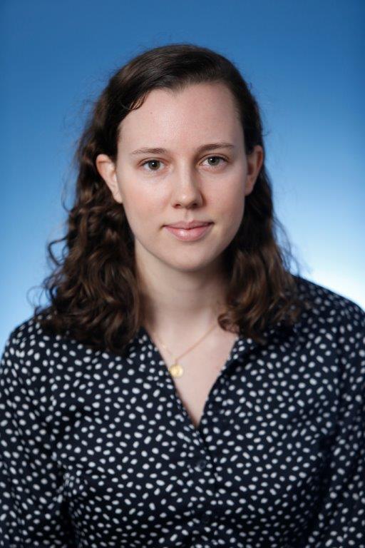 A policy at peace with itself: Antitrust remedies for our concentrated ...