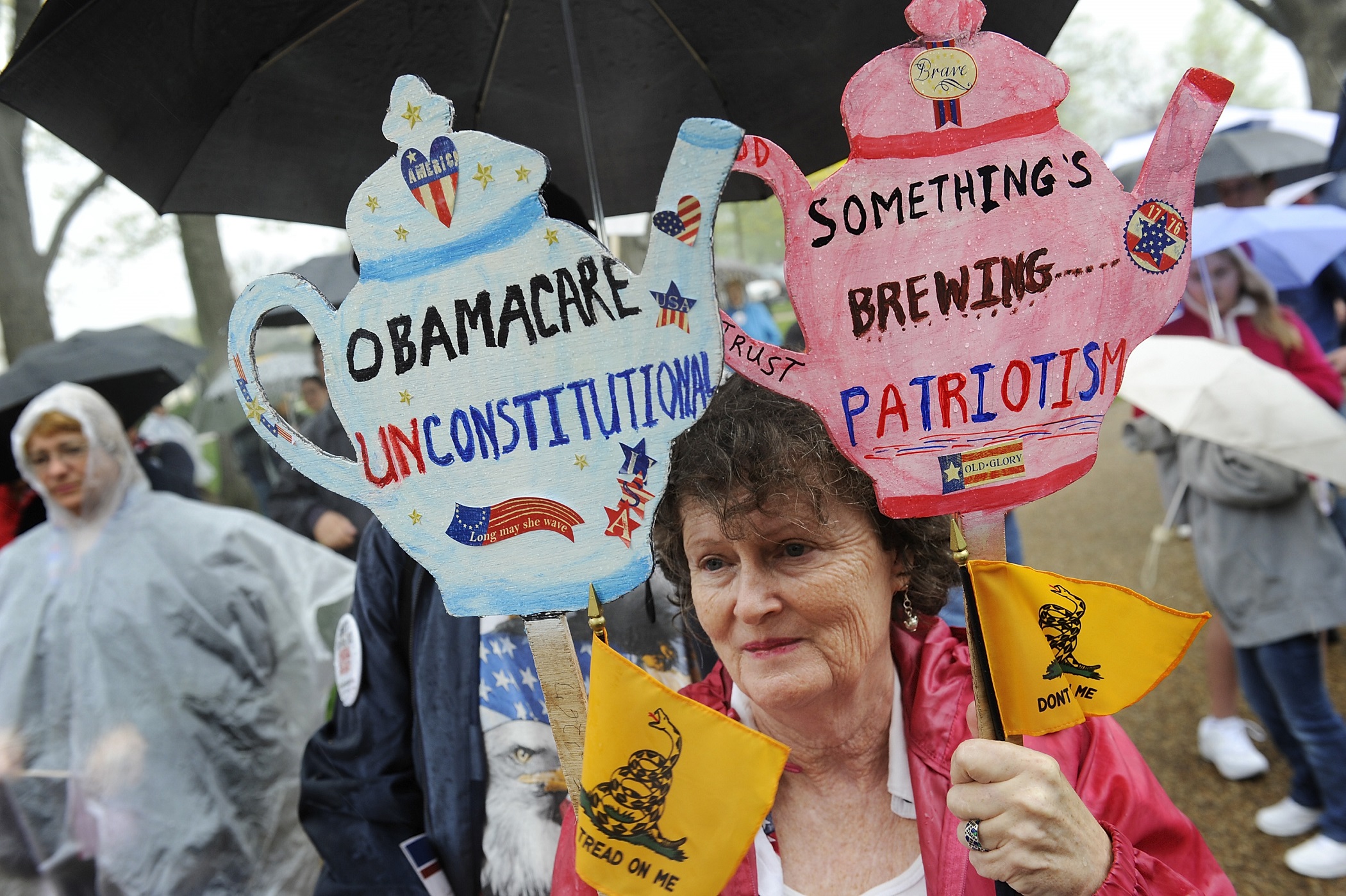 What the Tea Party tells us about the Trump presidency | Brookings