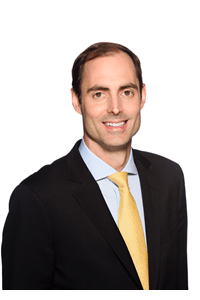 Anticipating trouble: Congressional primaries and incumbent behavior ...