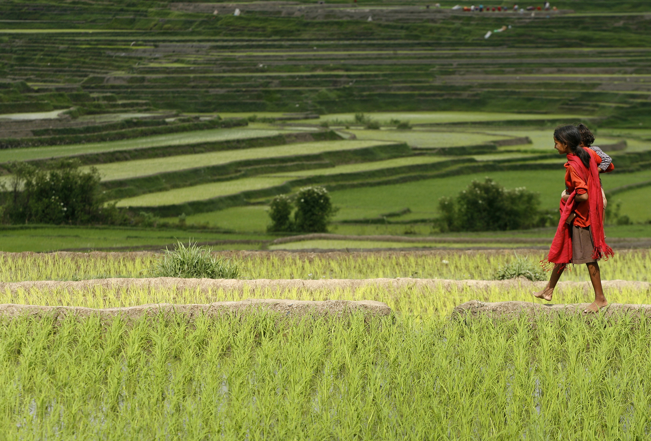 Adolescent girls’ access to secondary education in rural Nepal | Brookings