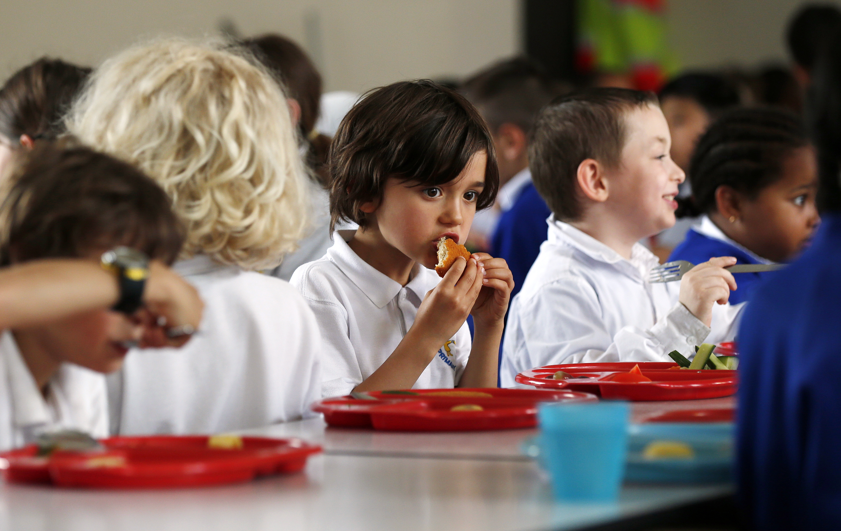 How the quality of school lunch affects students' academic performance ...
