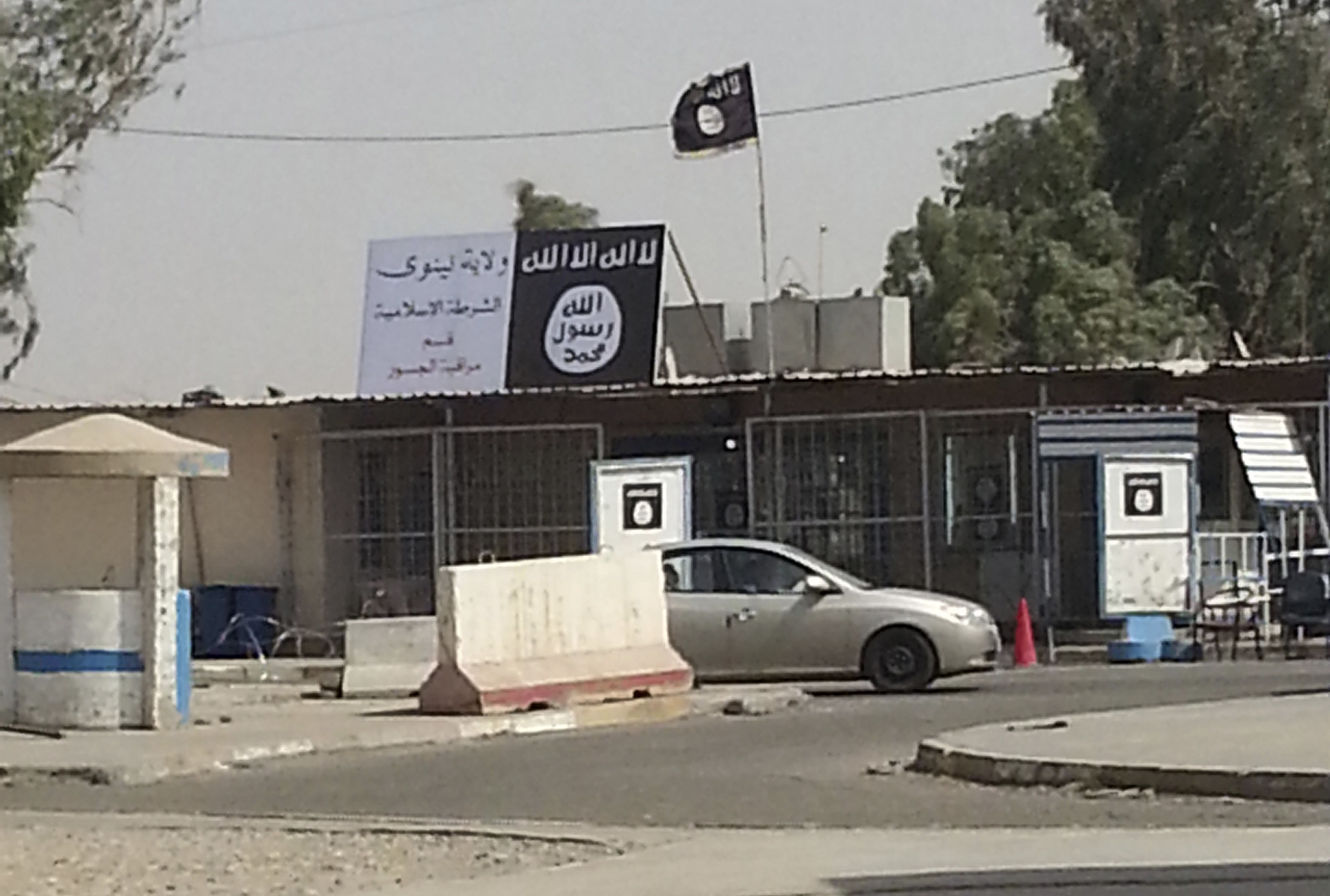 Experts Weigh In: What is the future of al-Qaida and the Islamic State ...