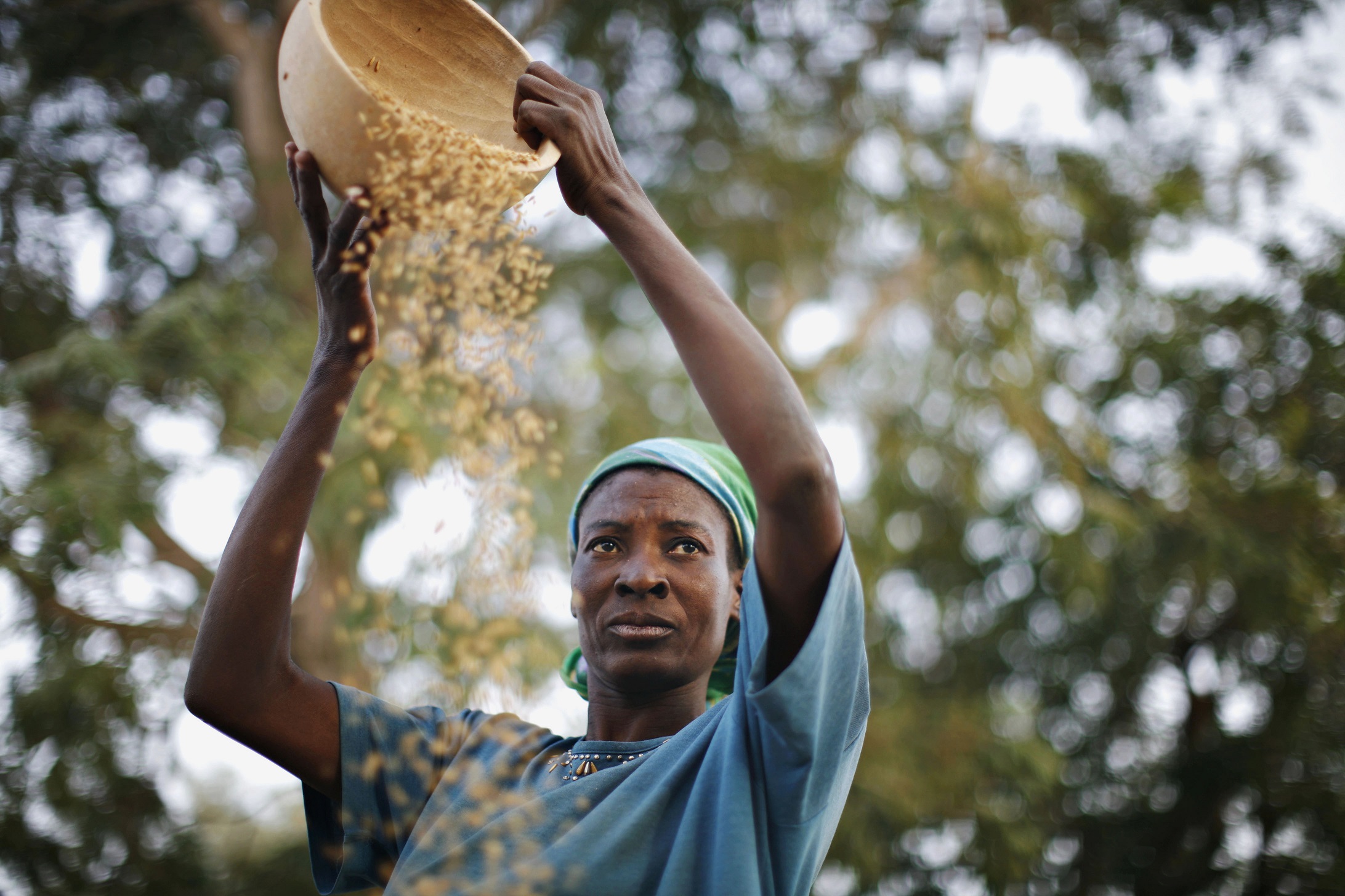 Enhancing food and nutrition security in a newly middle-income country ...