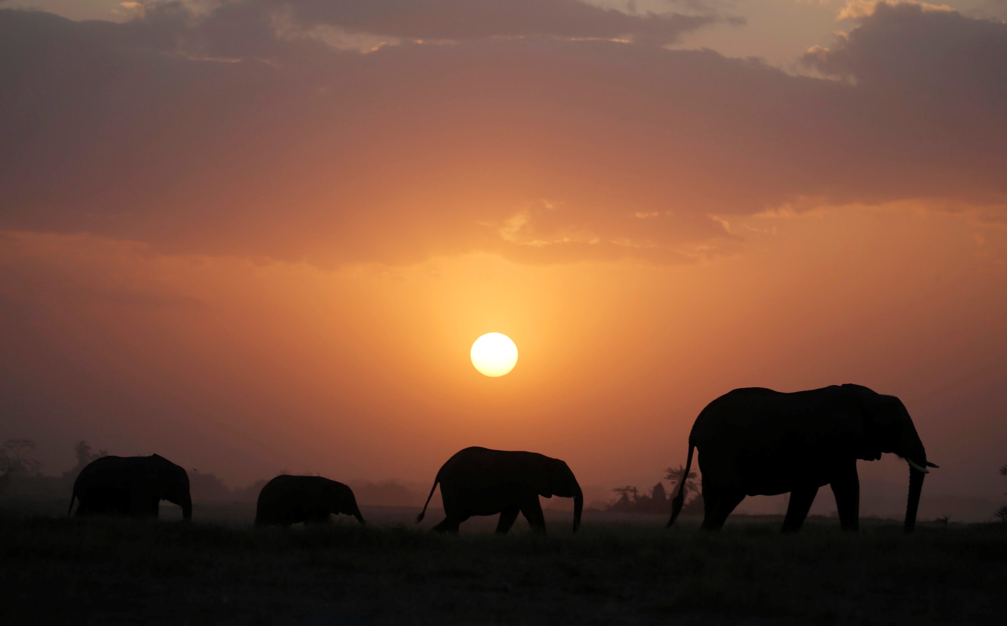 What's happening to the world income distribution? The elephant chart ...
