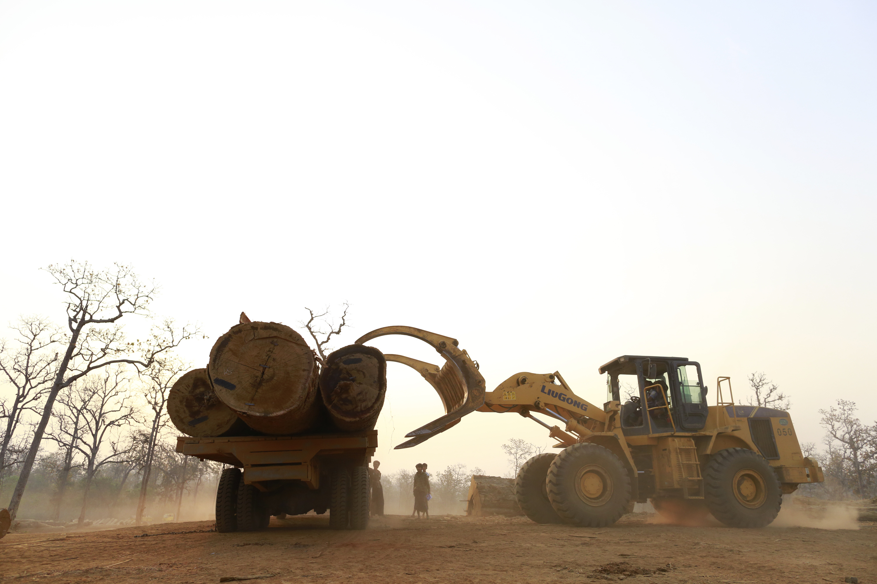 The deforestation risks of China’s Belt and Road Initiative | Brookings