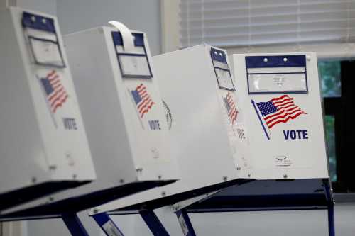 Election 2020: Digital democracy, disinformation, and Black voters ...
