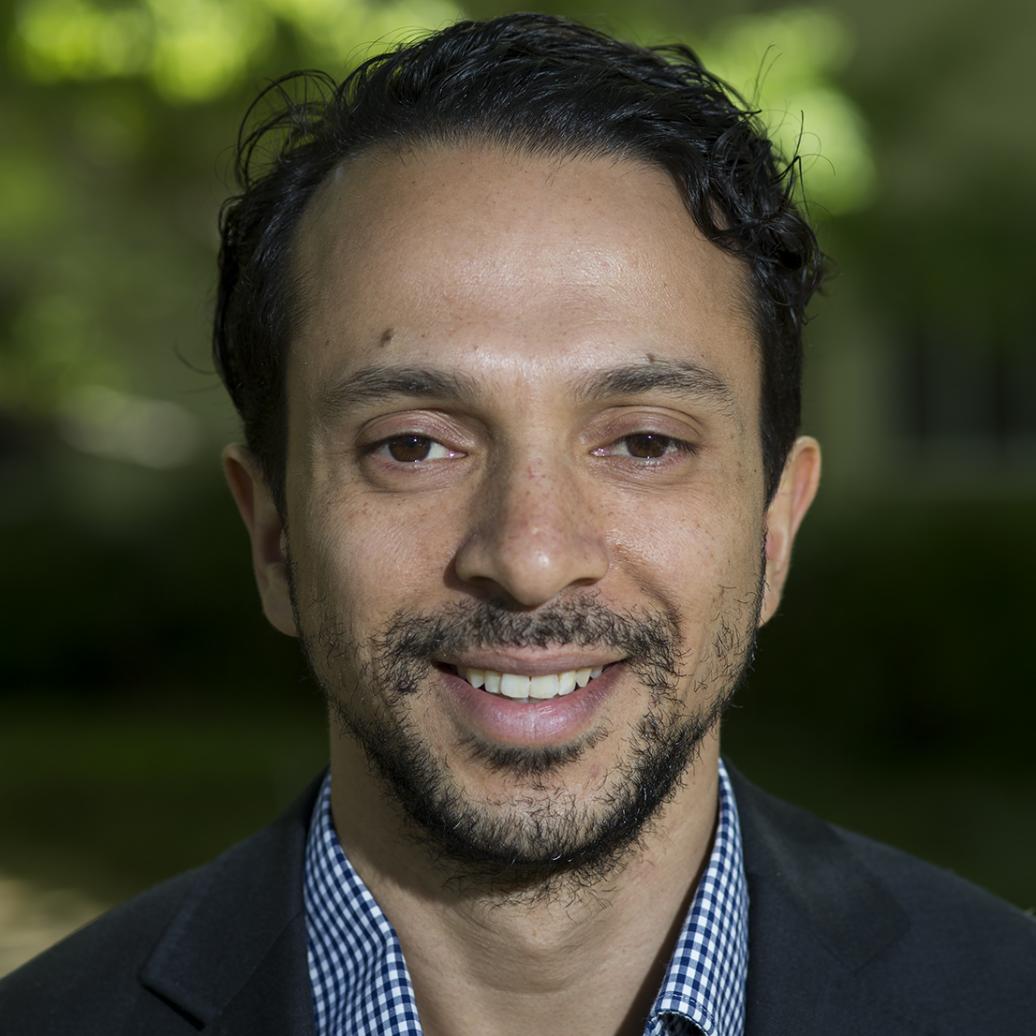 Global Research Network on Terrorism and Technology: The inaugural ...