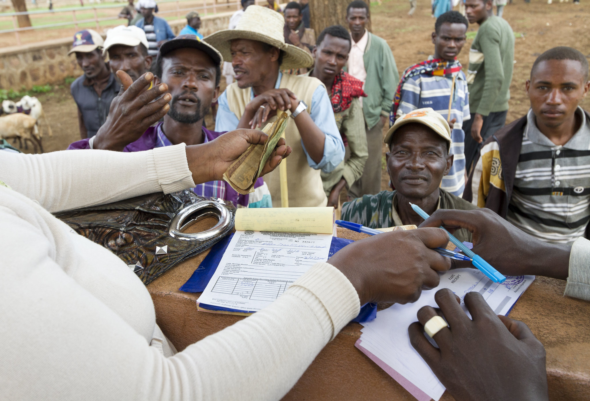 How much does the world spend on the Sustainable Development Goals ...