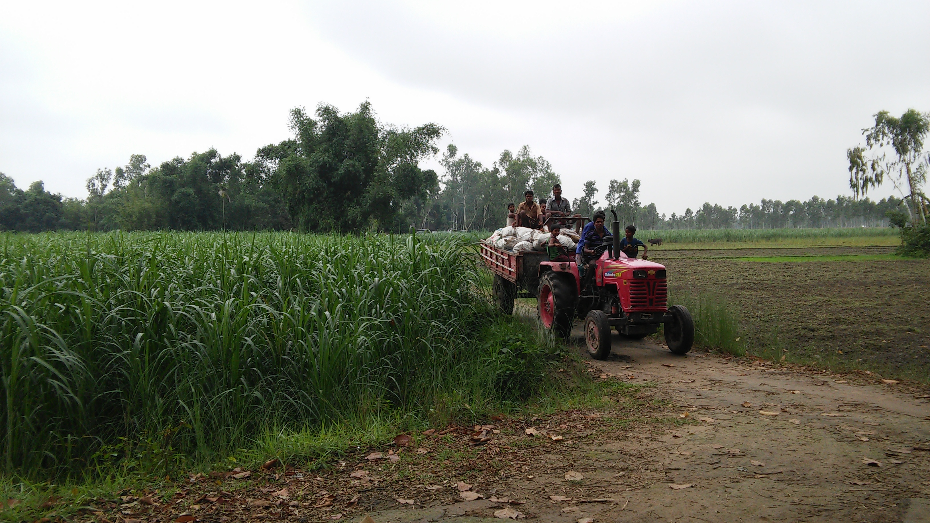 India and Bangladesh: Exchanging border enclaves & (re-)connecting with ...