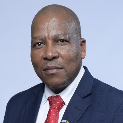 Bolstering Africa’s green transitions: The role of an African-European ...