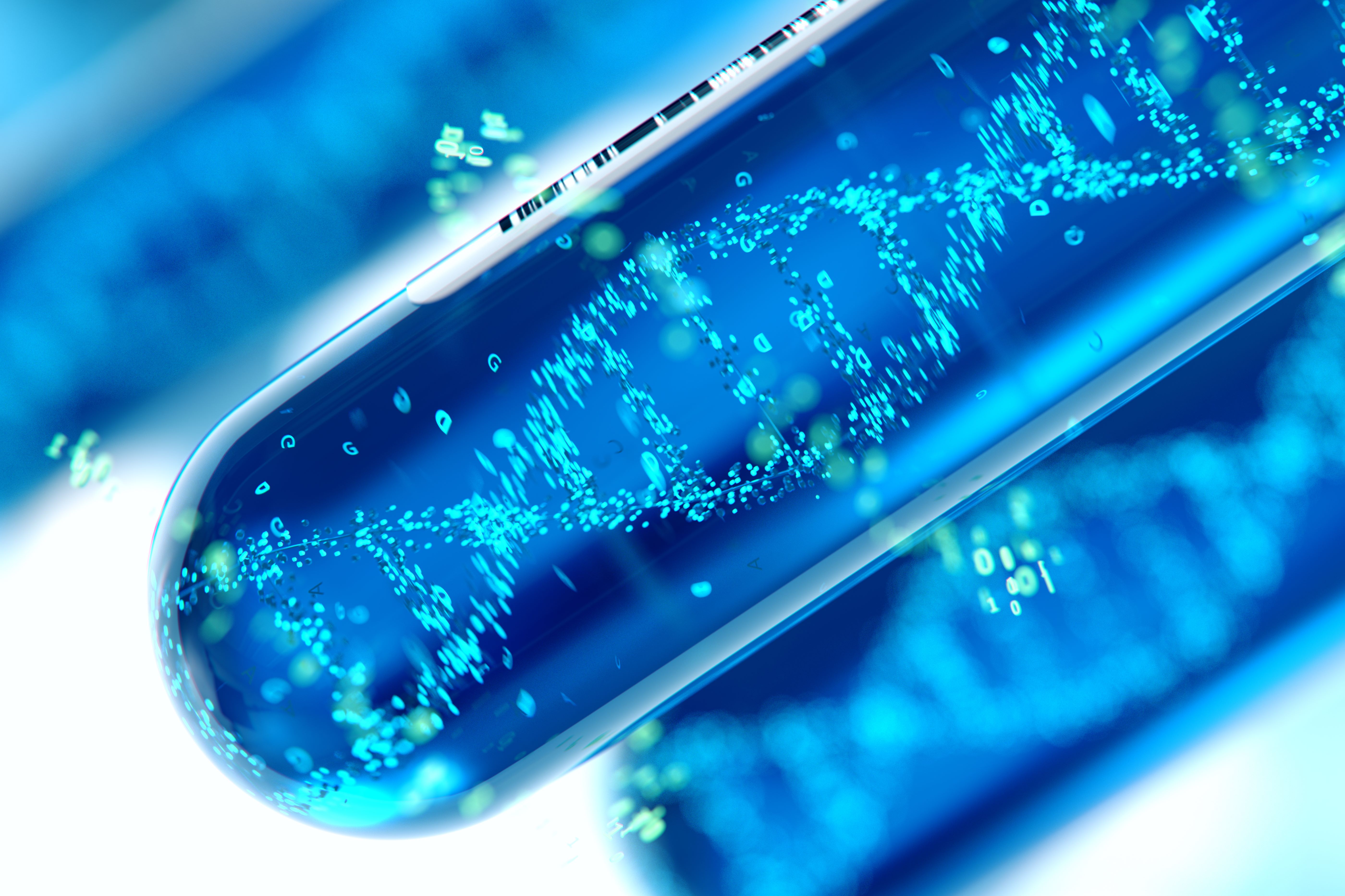 The digital transformation of agriculture in Indonesia | Brookings