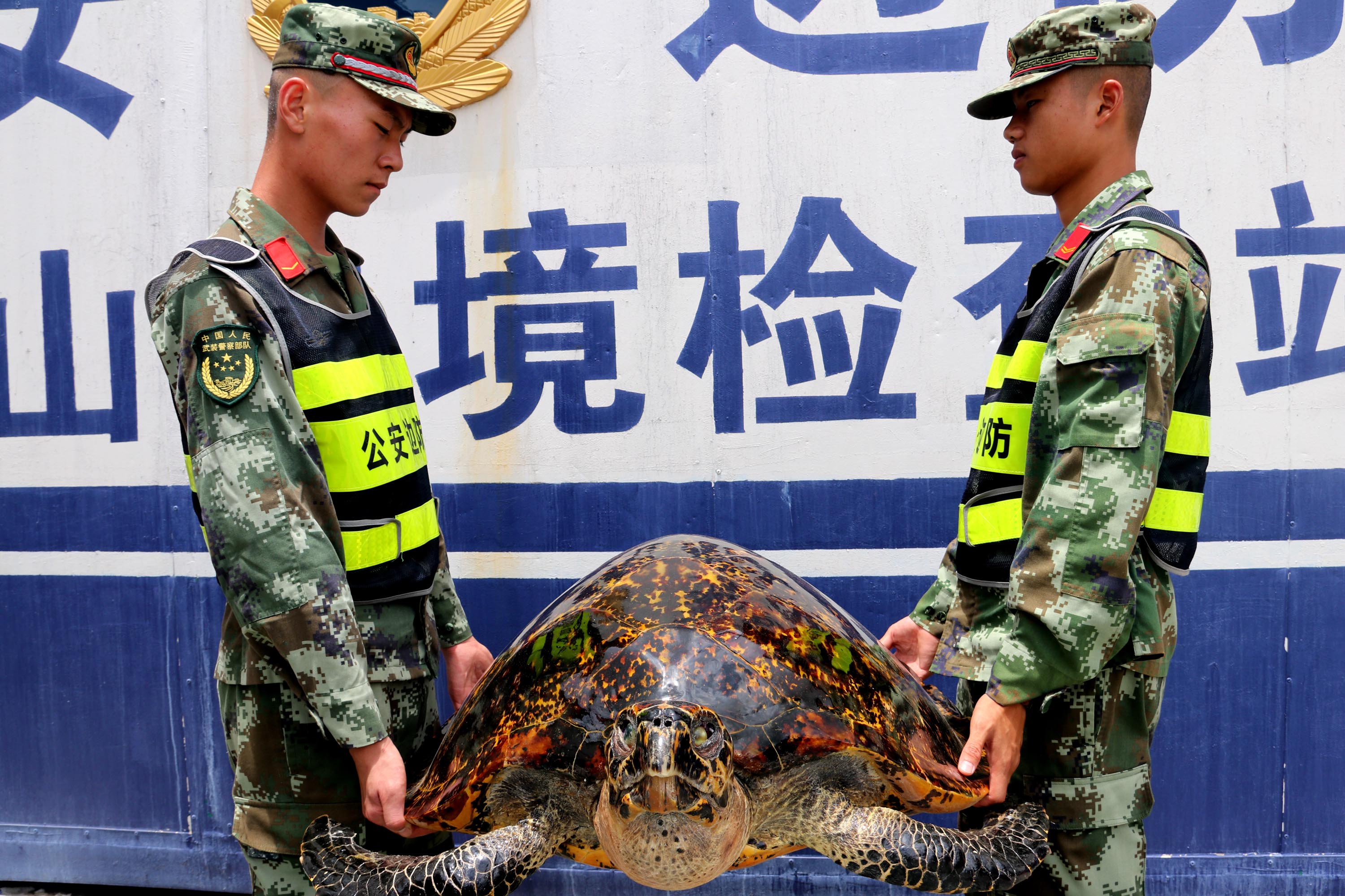 The China connection in Mexico’s illegal economies | Brookings