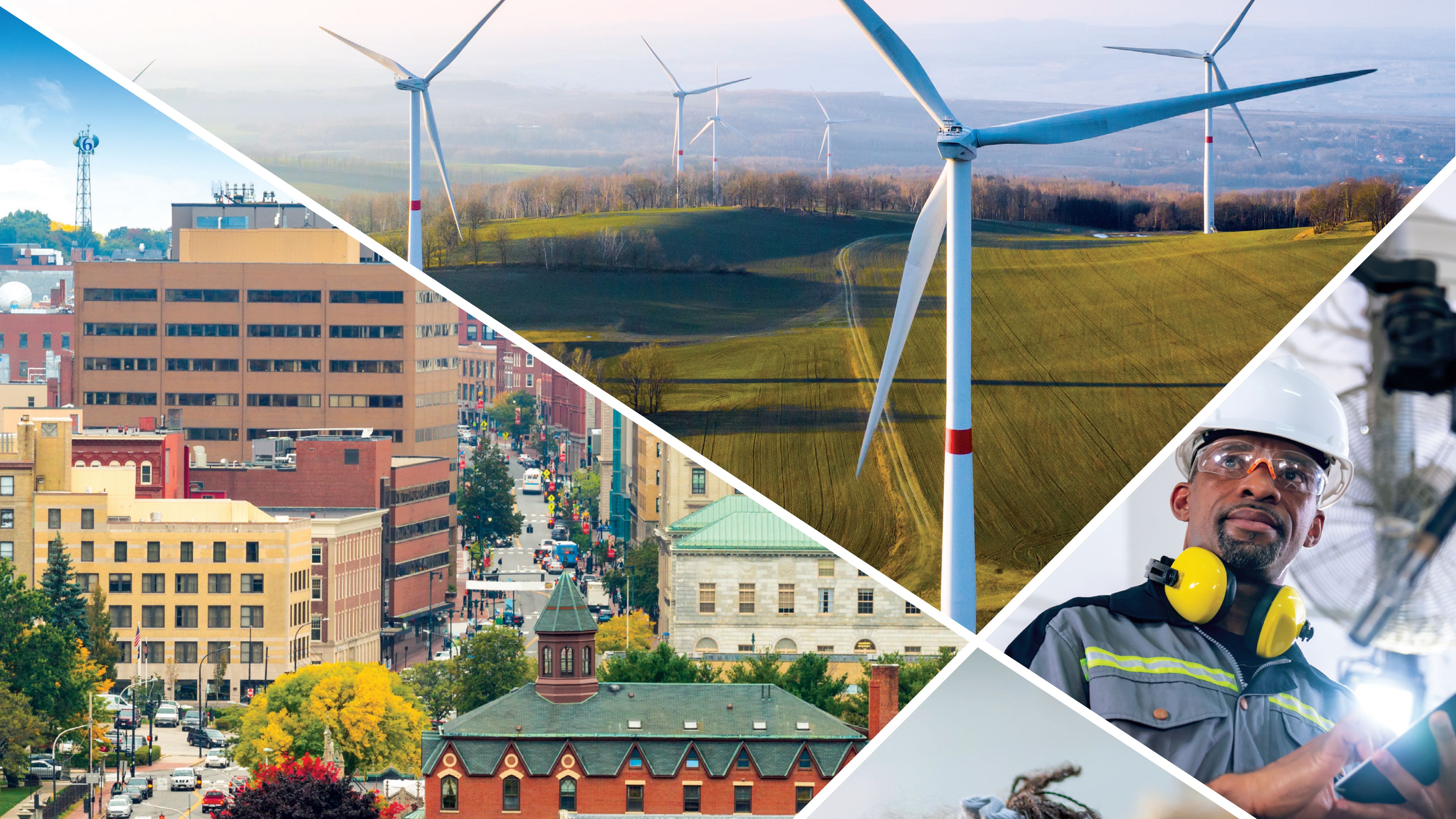 The state of the Sustainable Development Goals in the United States ...