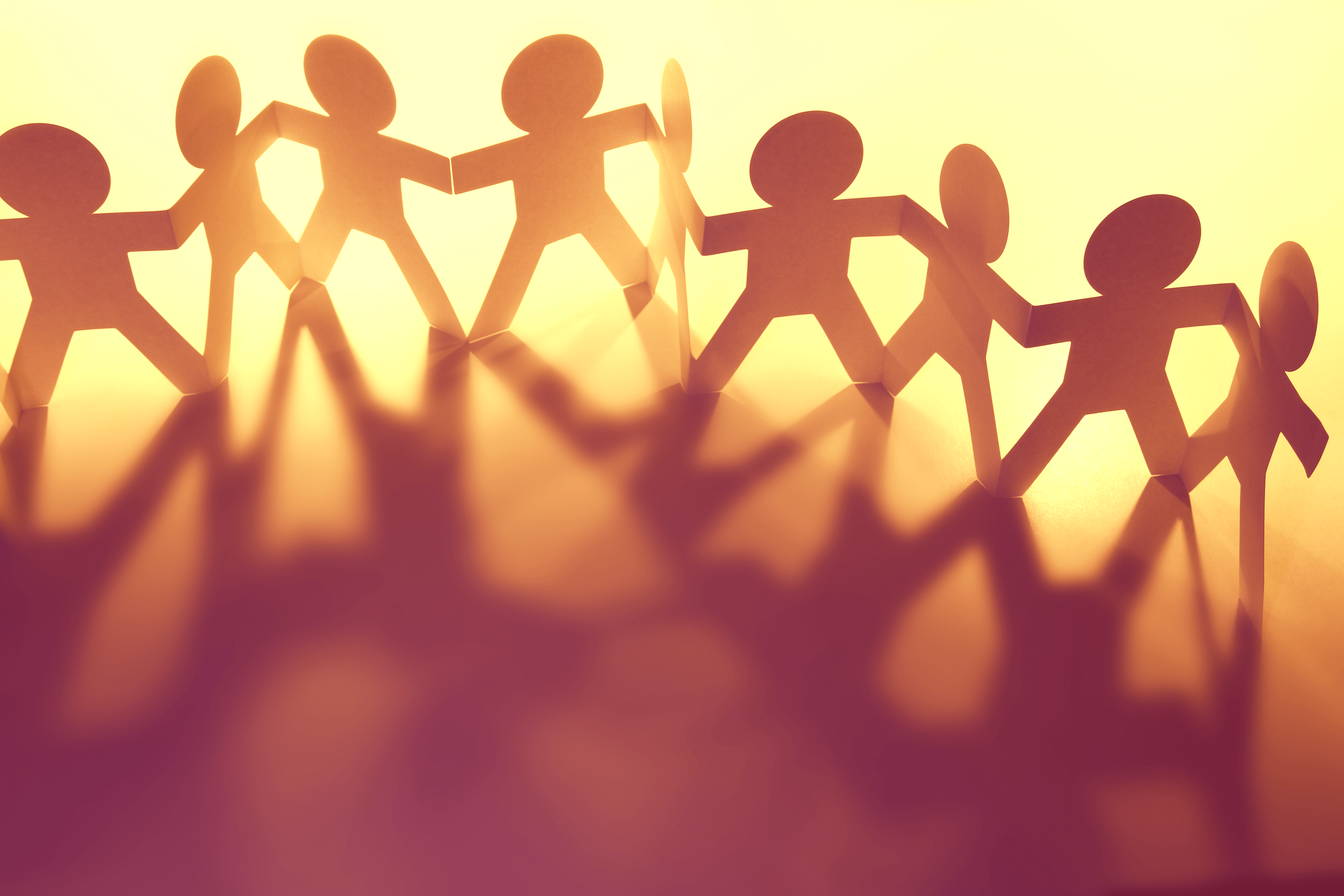 Targeting, universalism, and other factors affecting social programs ...