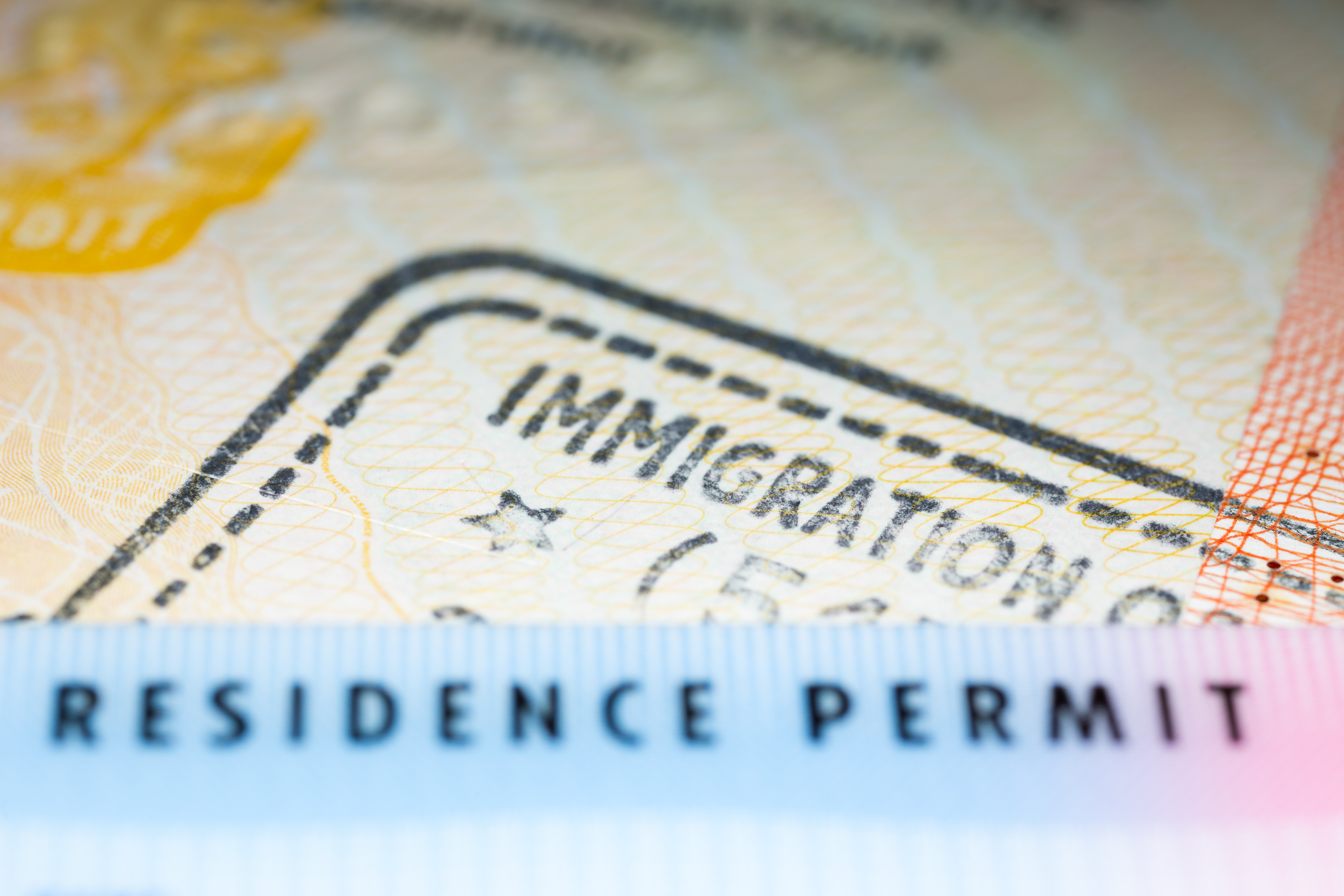 The Border Within: Interior enforcement and the current state of ...