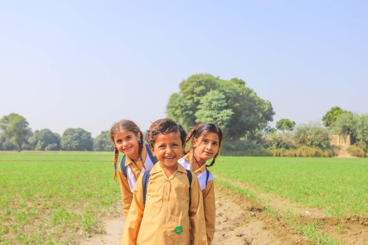 'Language ladders' show promise for introducing multilingual ...