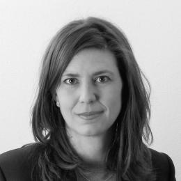 Declaration of Democratic Principles: Civil society’s critical role in ...