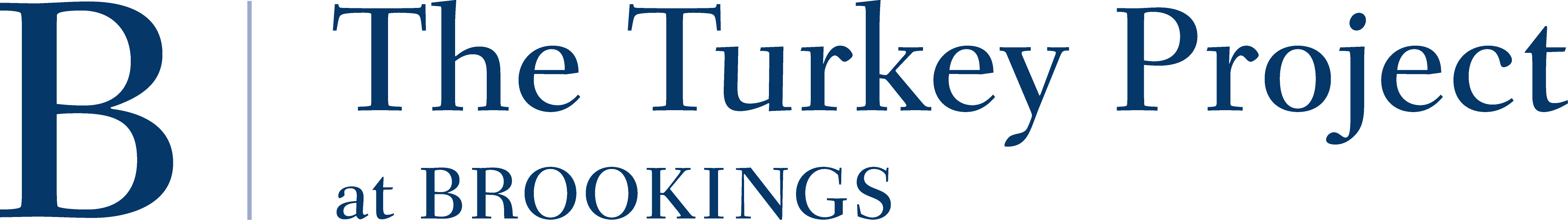 The Turkey Project | Brookings