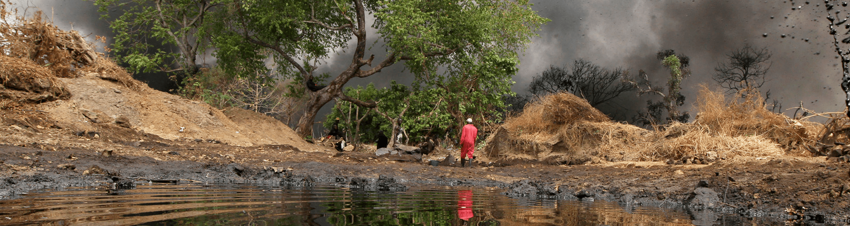 Leveraging Transparency to Reduce Corruption | Brookings