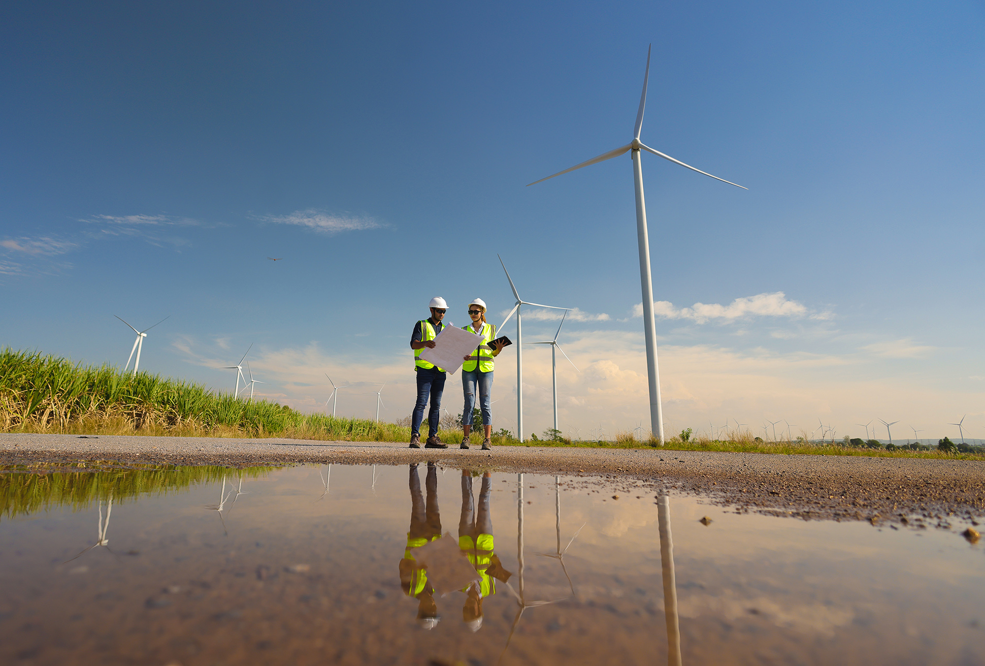 Why green jobs plans matter and where US cities stand in implementing ...