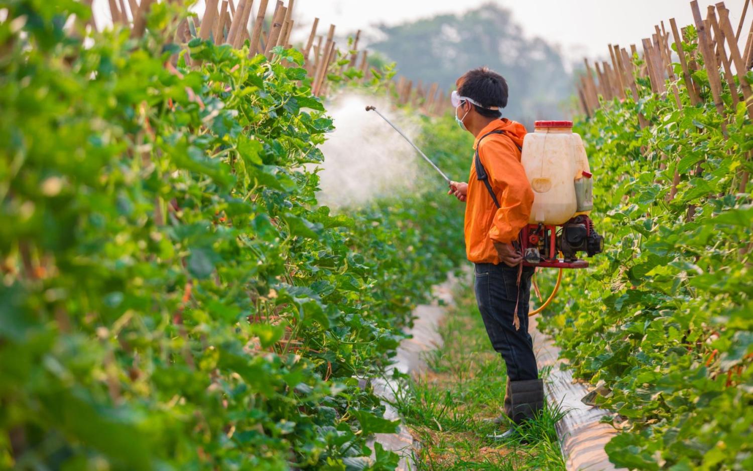 US pesticide regulation is failing the hardest-hit communities. It’s ...