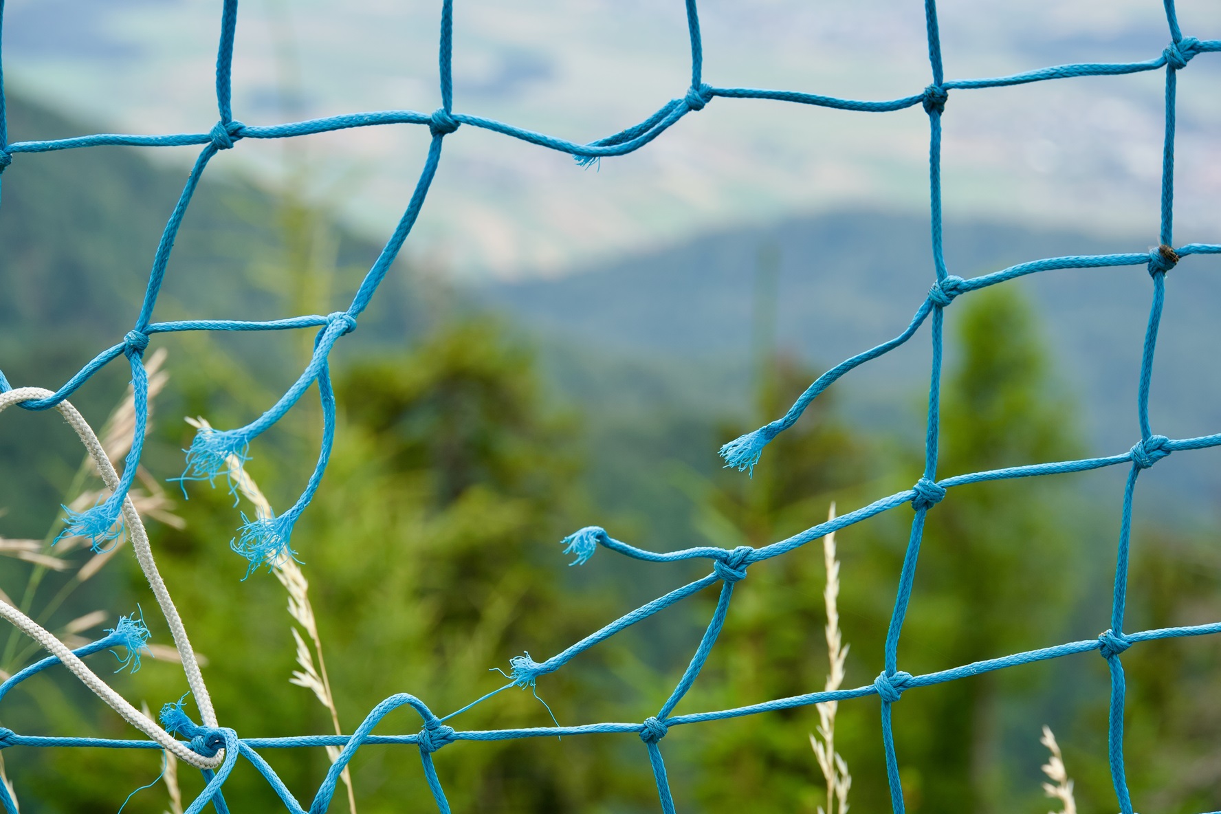 Changes in the safety net over recent decades and their impact | Brookings
