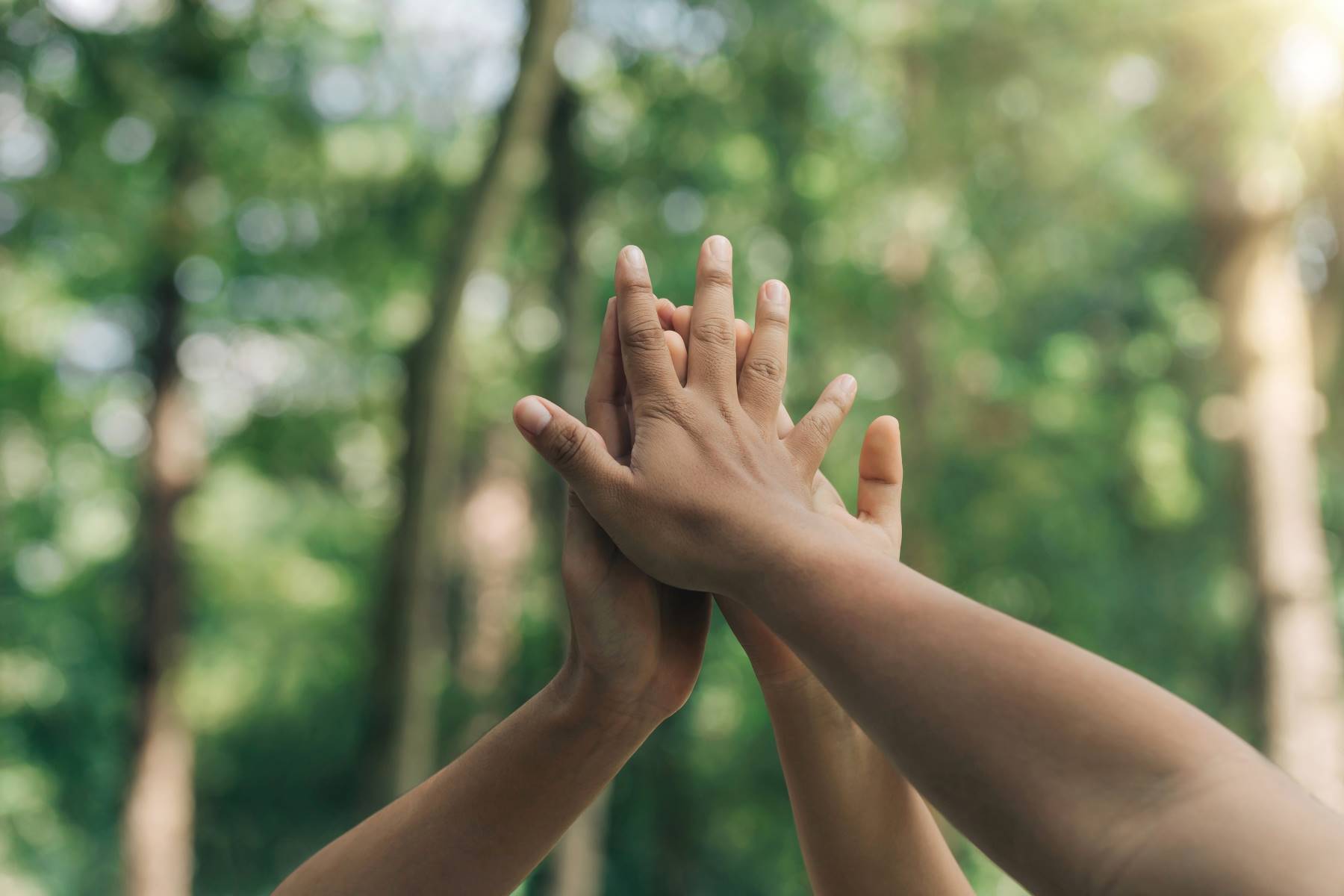 The agency paradox: How social support enables the freedom to act ...