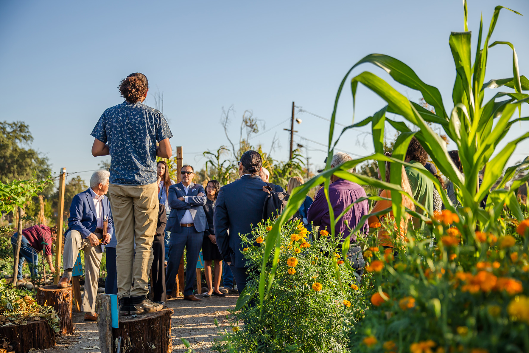 Fostering inclusive and sustainable agricultural innovation in ...