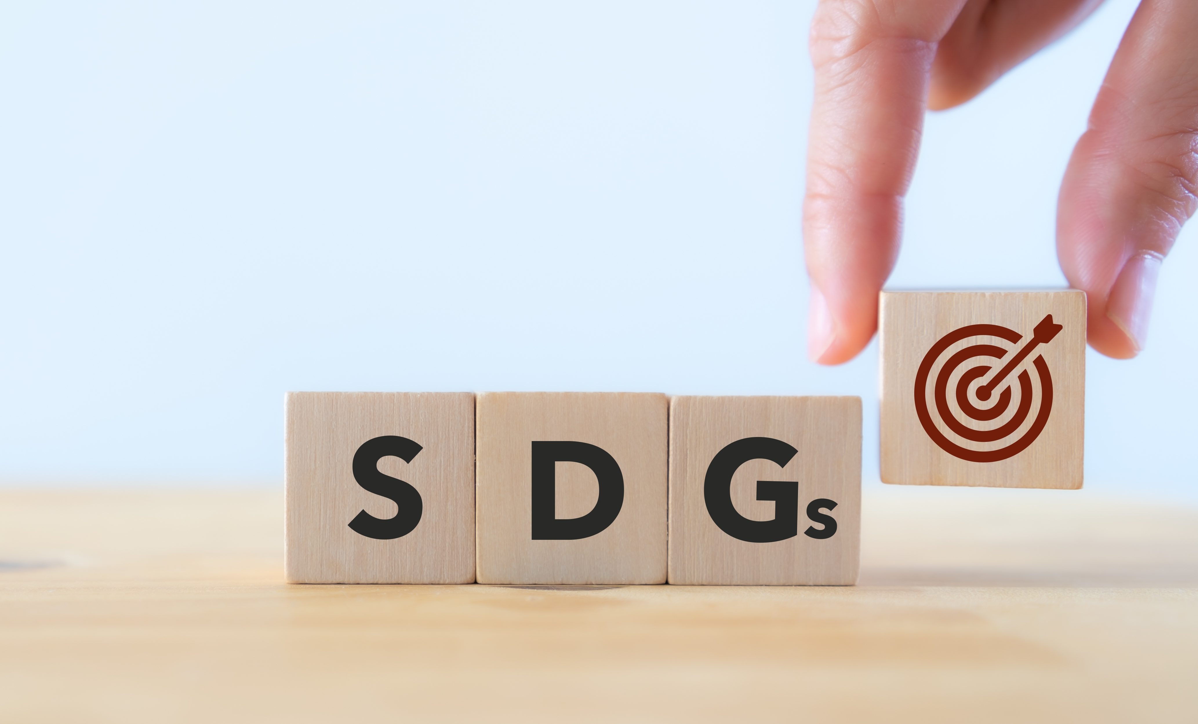 Workstreams | Brookings Center for Sustainable Development