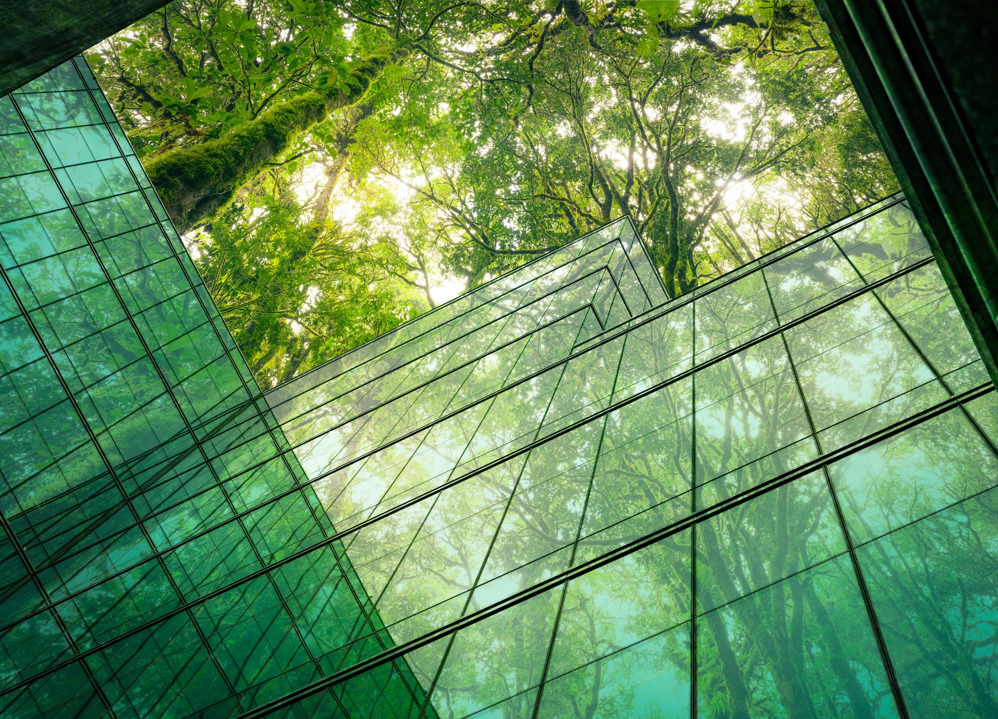 The future of business and sustainable development | Brookings