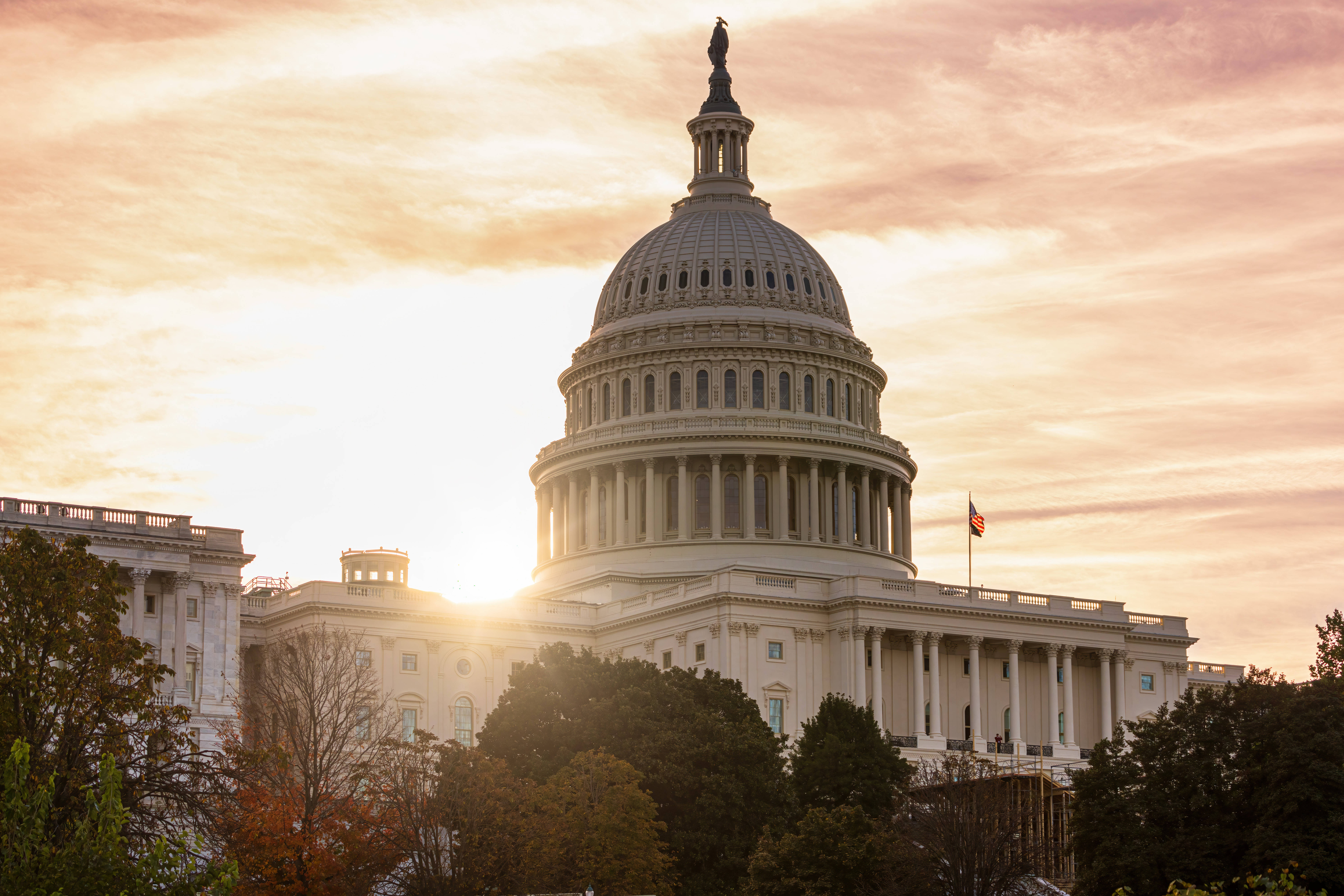 A playbook to counter democratic backsliding in the US and abroad ...